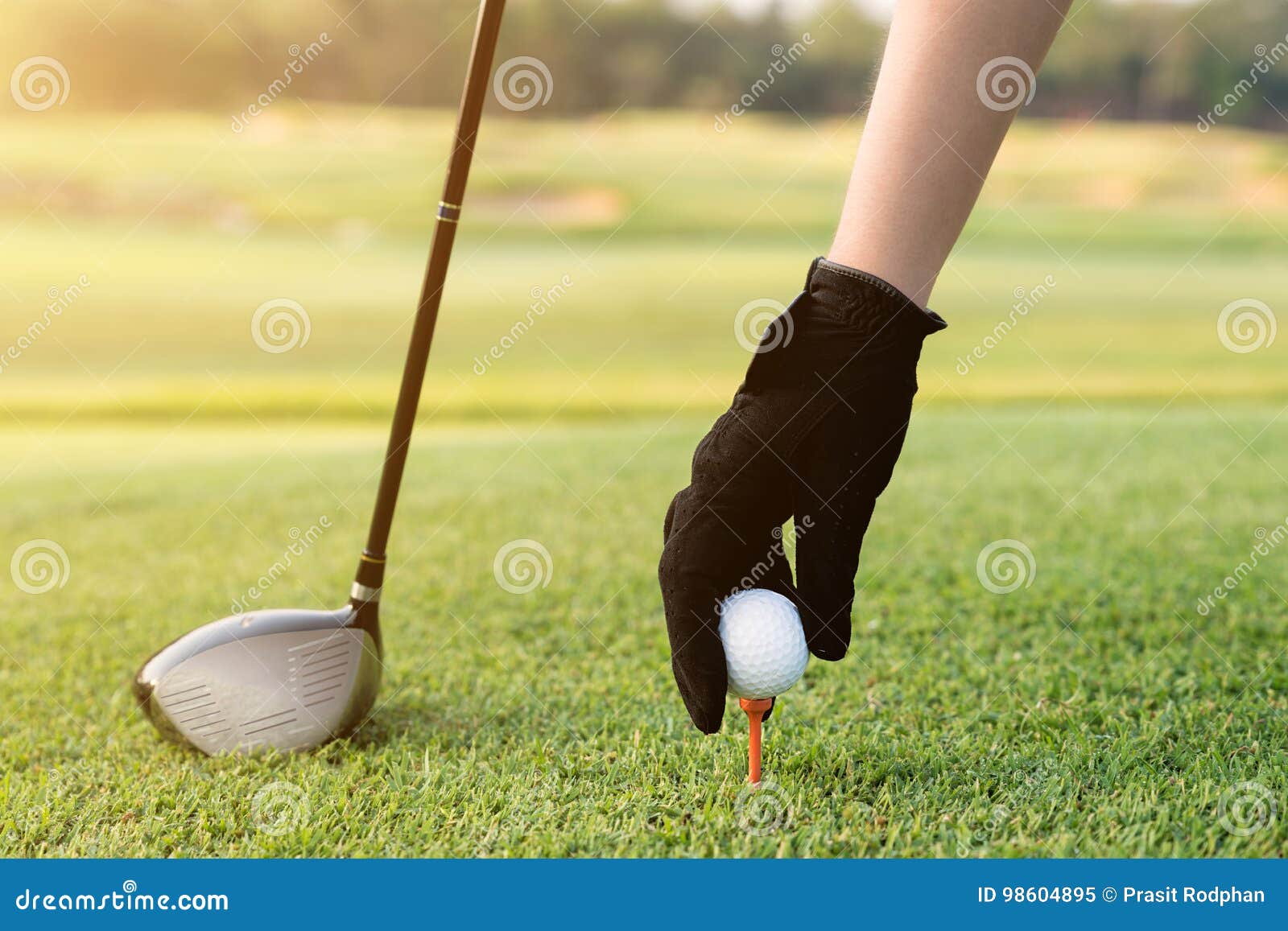Hand Placing a Tee with Golf Ball. Hand Hold Golf Ball with Tee Stock ...
