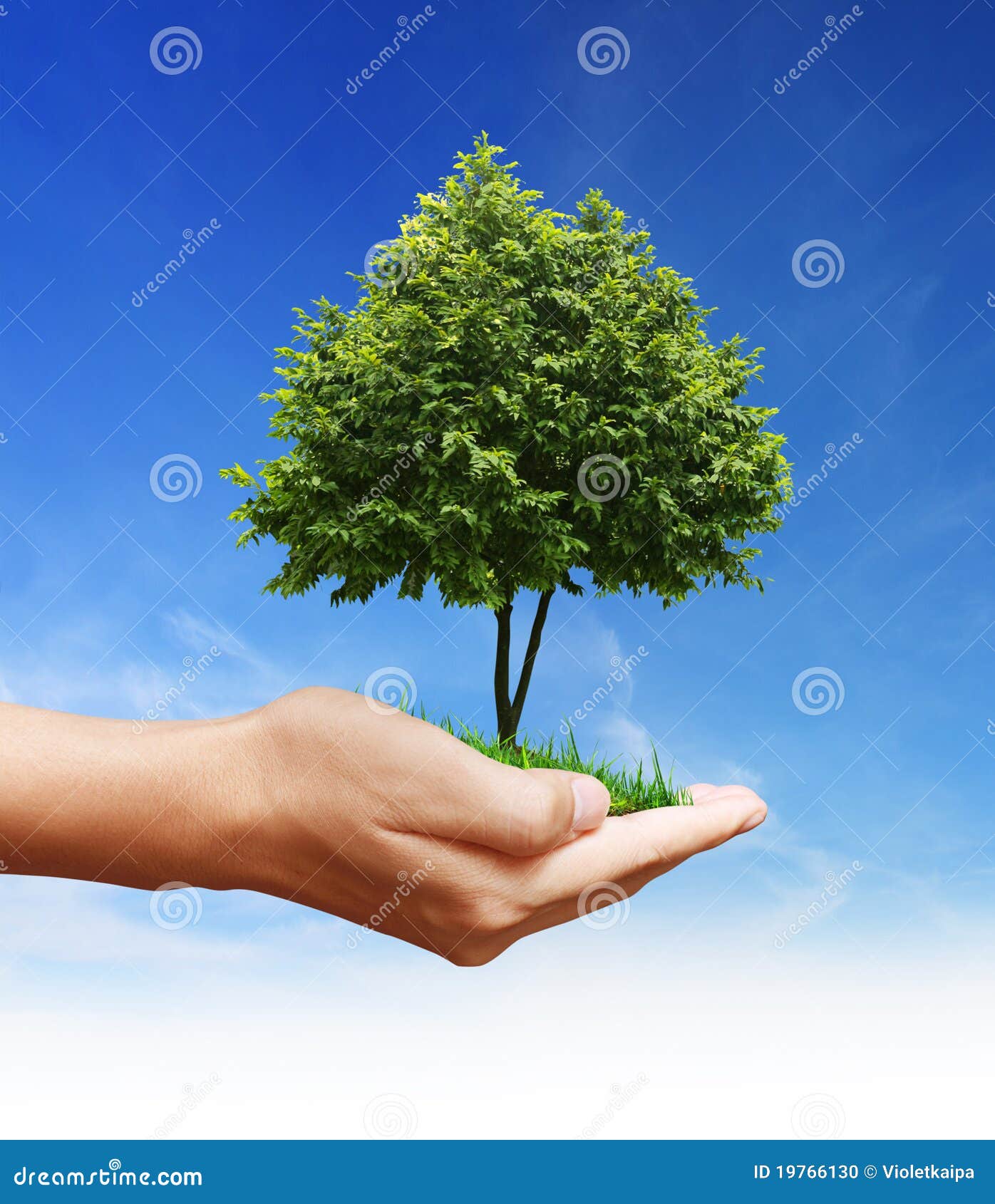 Hand plant stock photo. Image of environment, root, growth - 19766130