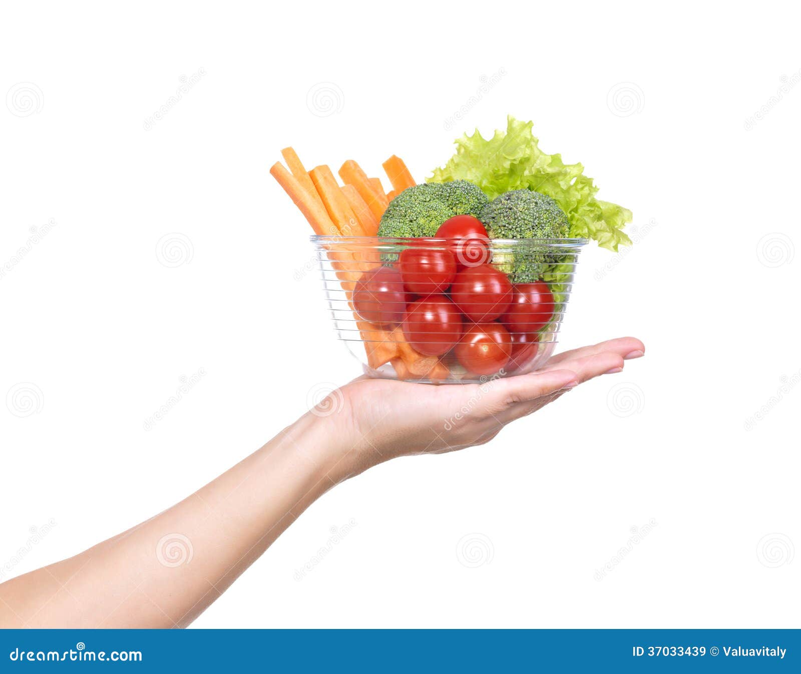 The Hand with a Plate of Vegetables. Stock Image - Image of female ...