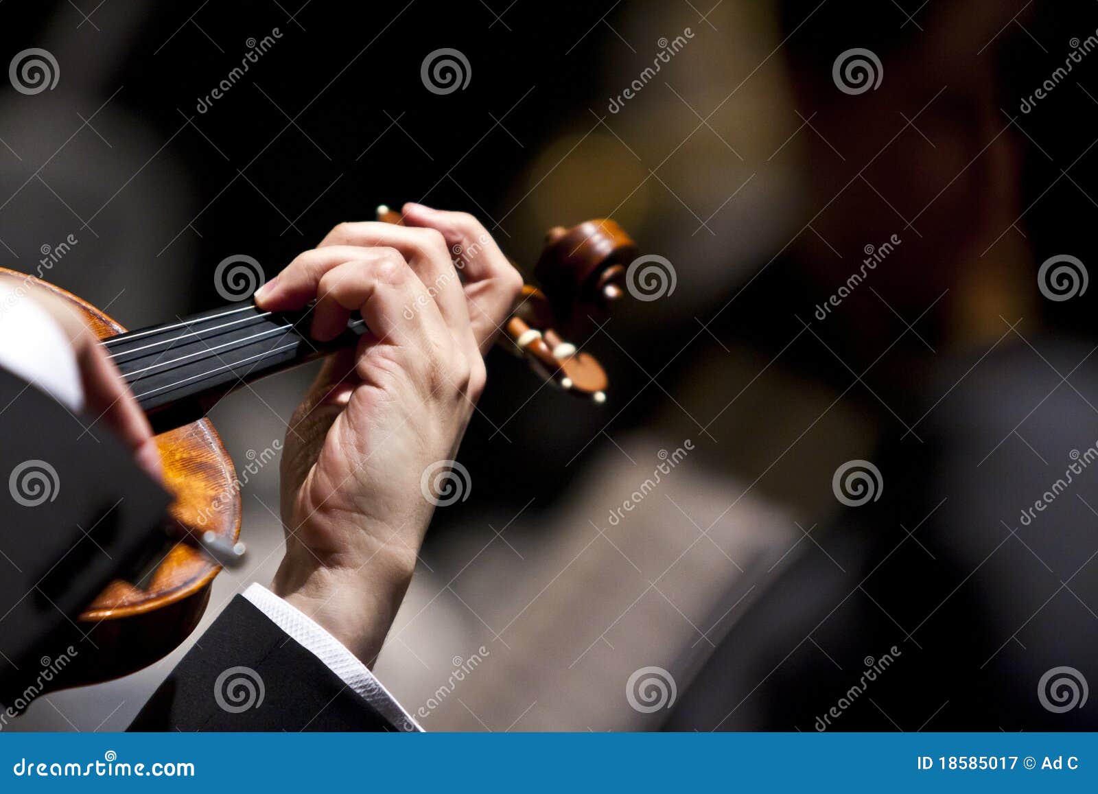 Hand Playing a Violin stock image. Image of white, classic - 18585017