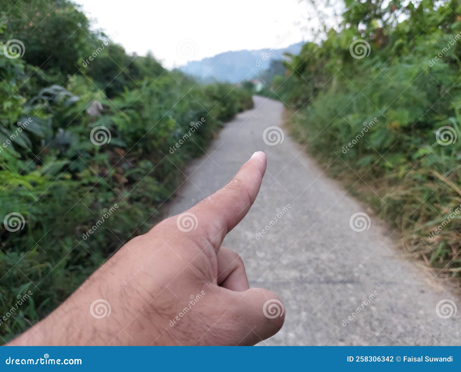 A Hand is Pointing a Direction Stock Photo - Image of grass, footwear ...