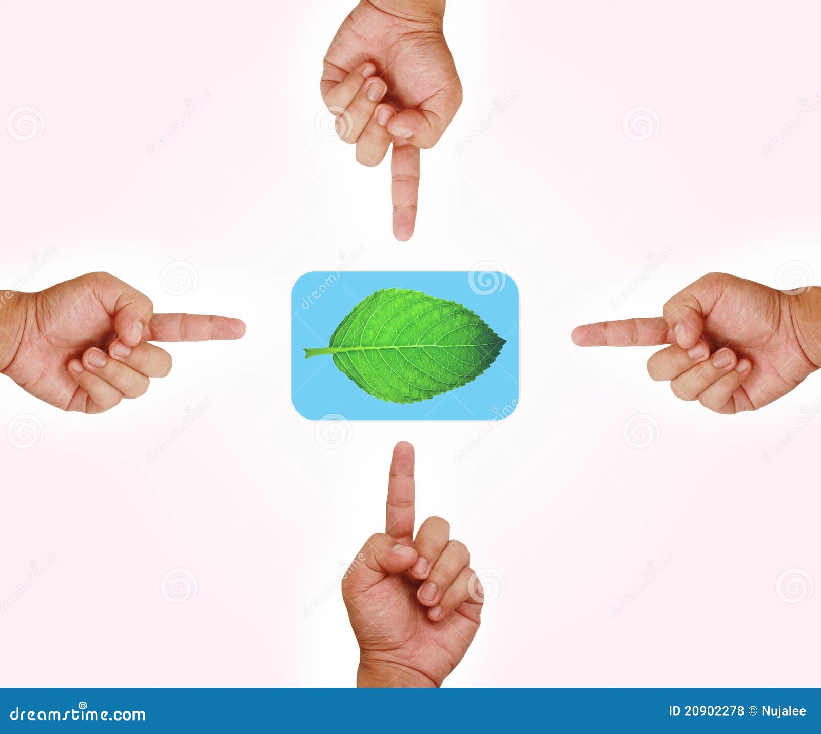 Hand Pointing on Green Leaf Button Stock Photo - Image of sign, leaf ...