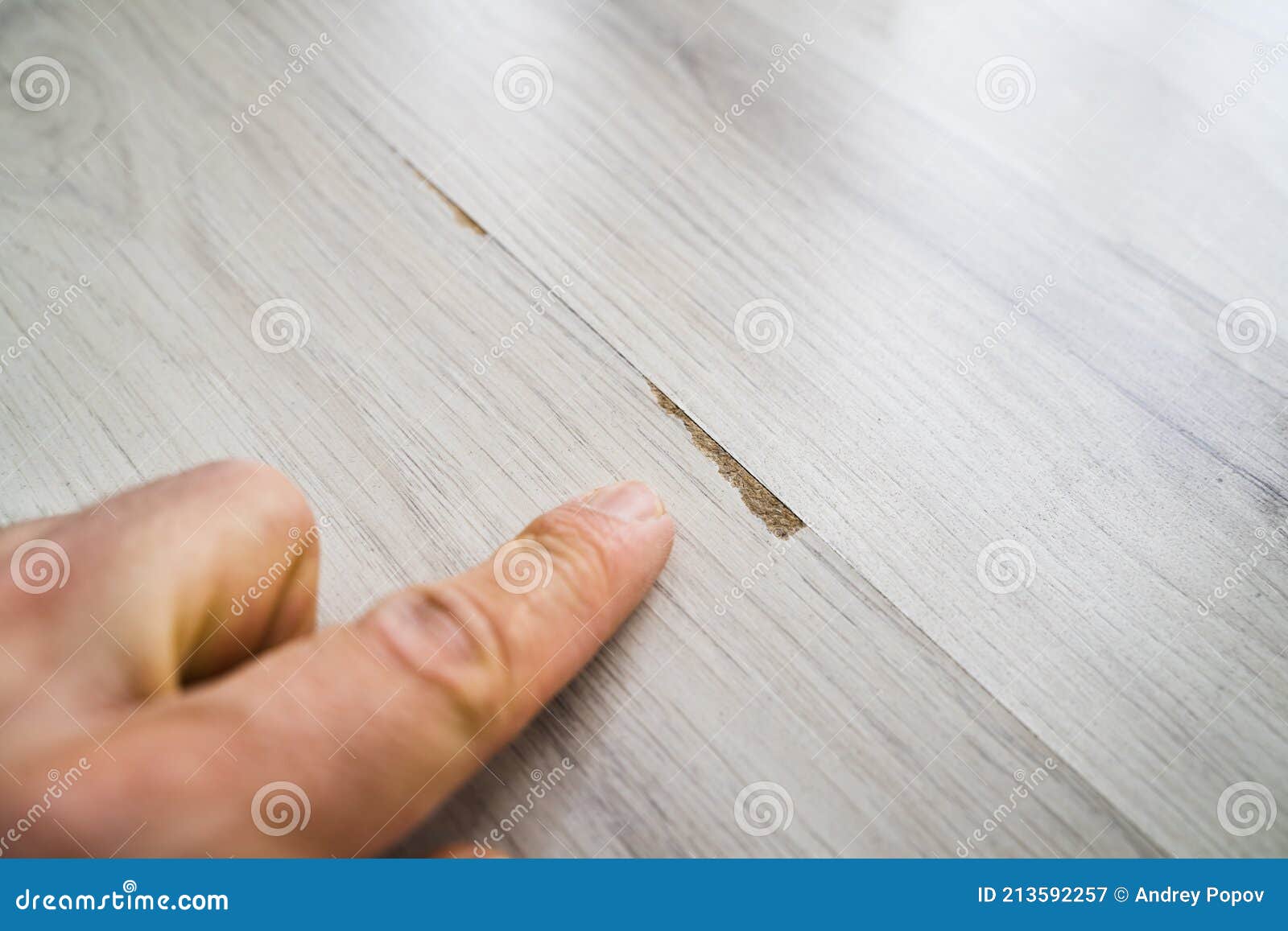 Hand Pointing To Damaged Old Laminate Flooring Surface Stock Image ...
