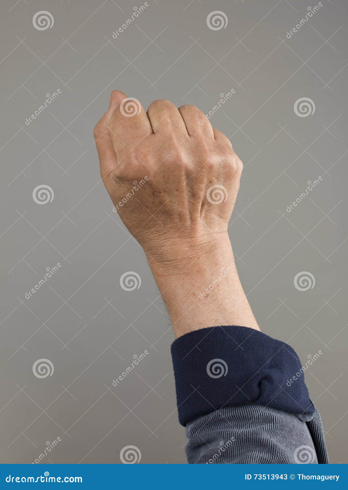 Hand pose stock image. Image of beautiful, isolated, gesture - 73513943