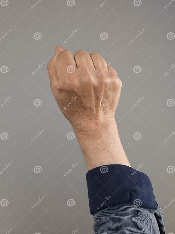 Hand pose stock image. Image of beautiful, isolated, gesture - 73513943