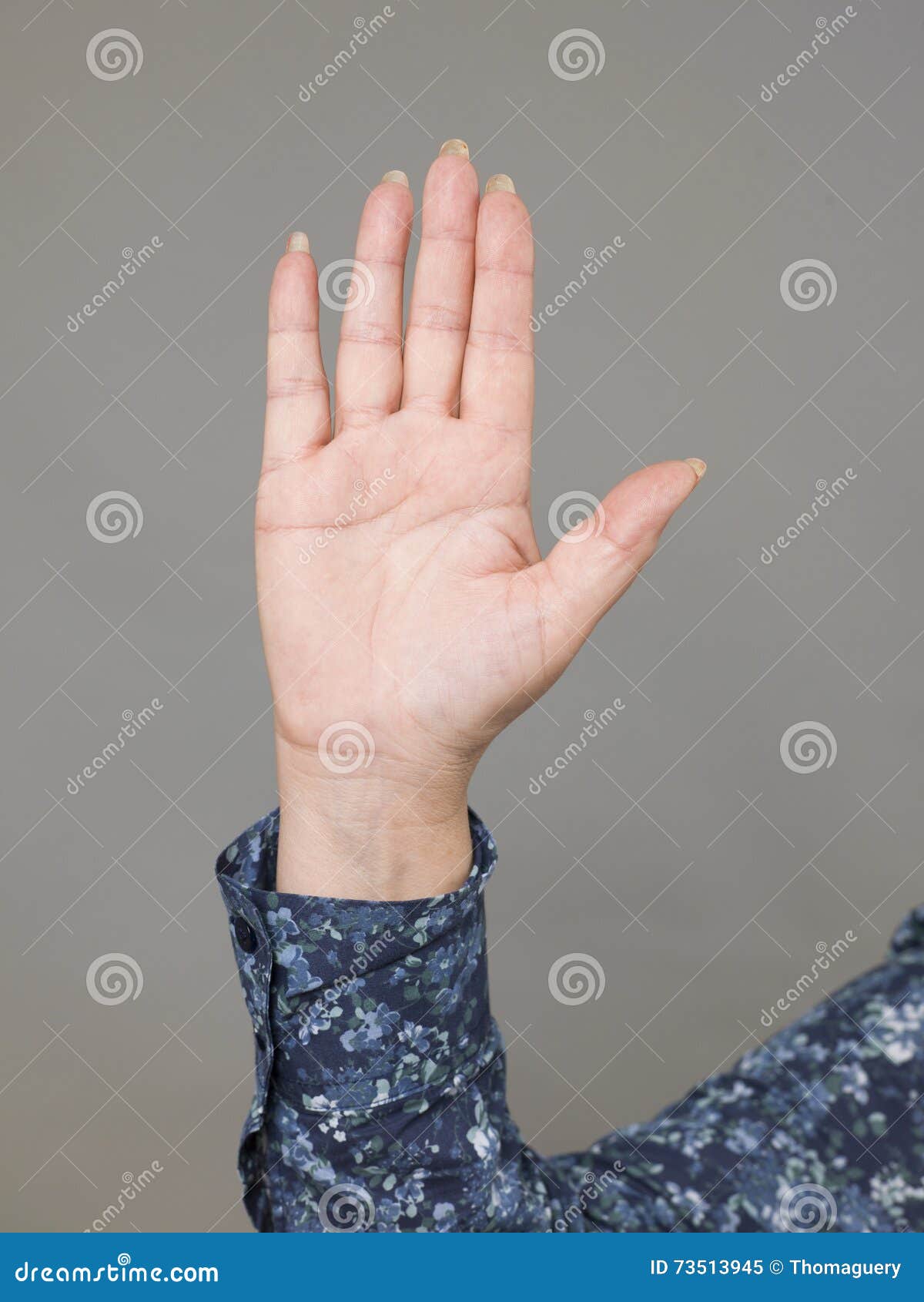 Hand pose stock image. Image of human, caucasian, holding - 73513945