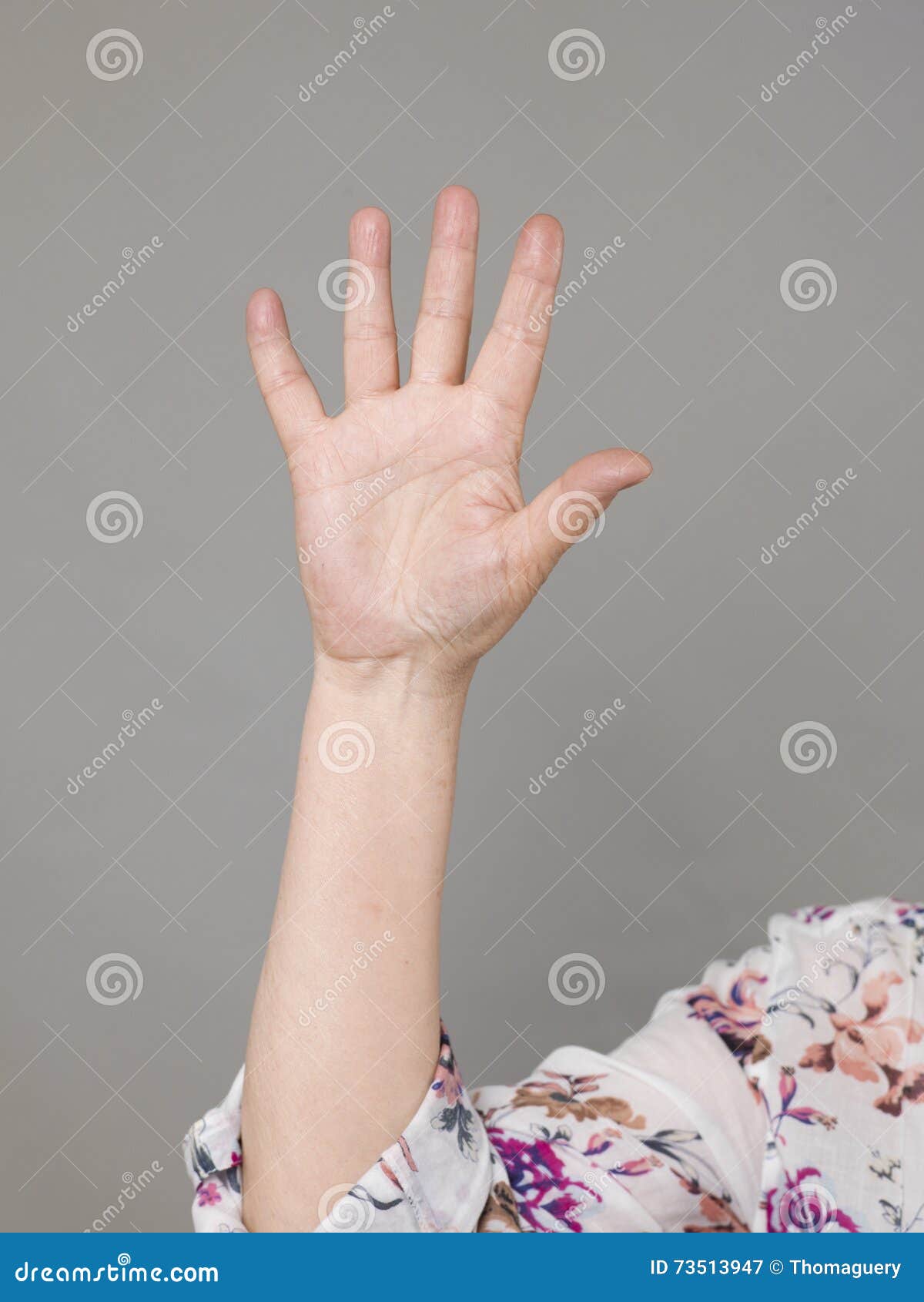 Hand pose stock image. Image of high, gesture, hand, concept - 73513947