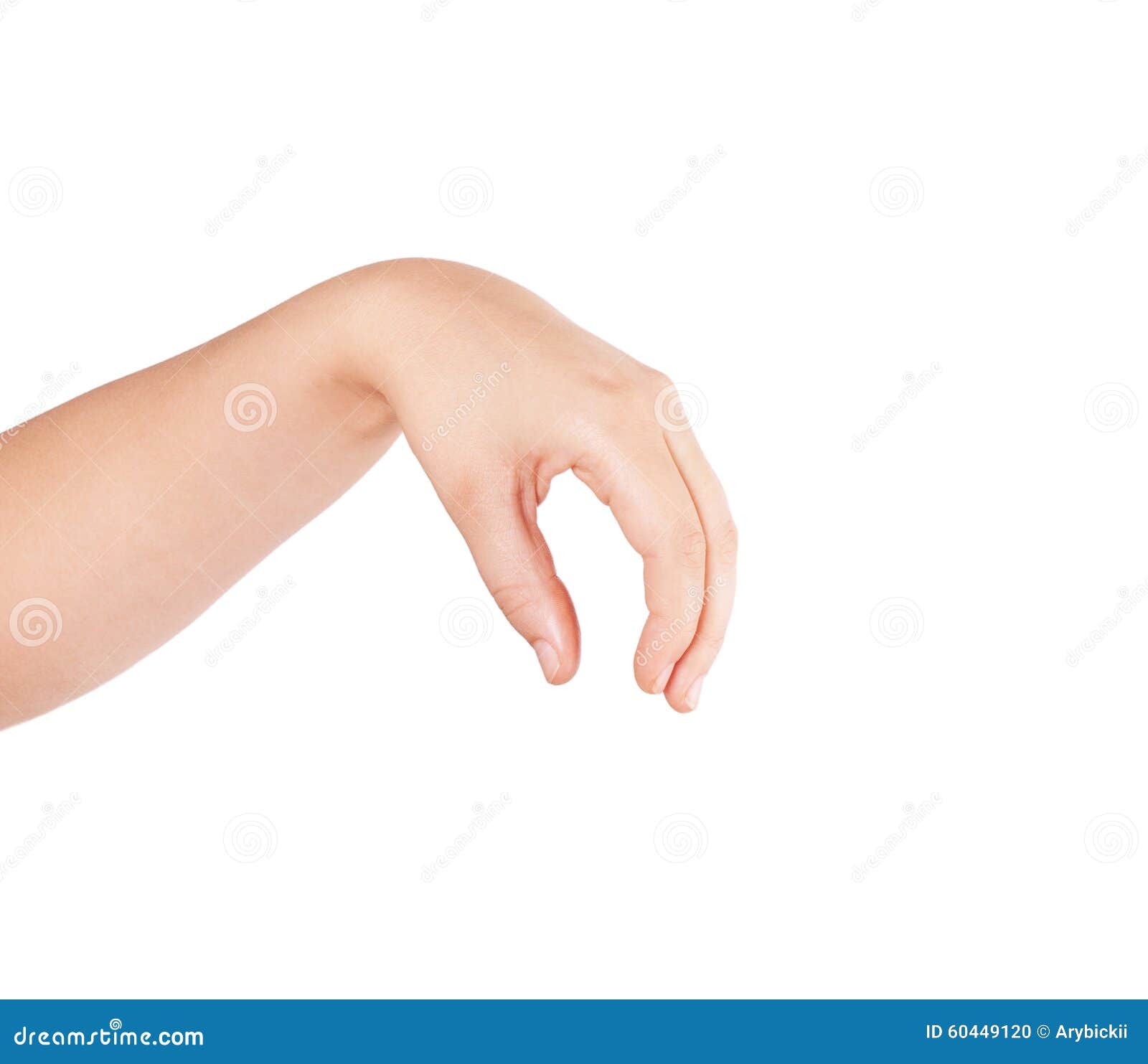 Hand pose stock photo. Image of gesture, isolated, hold - 60449120