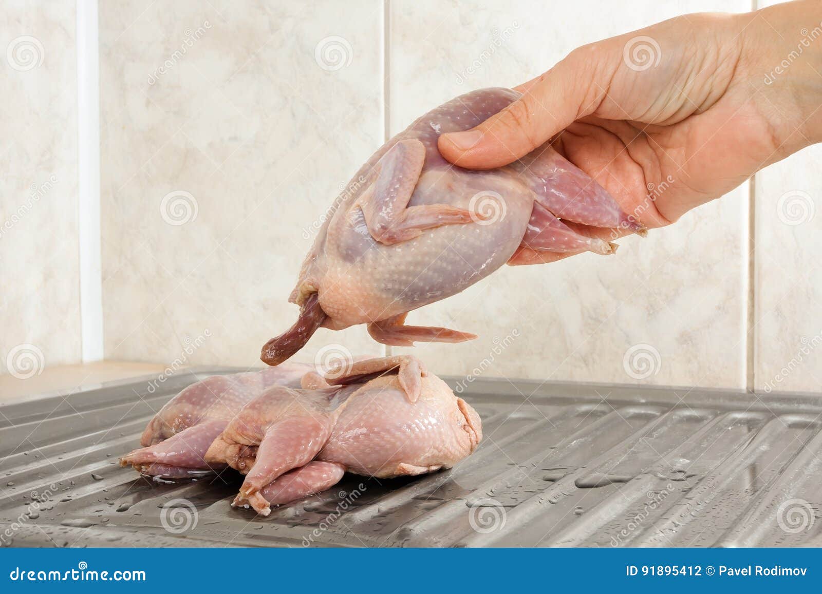 Hand Preparing Quails in the Kitchen Stock Photo - Image of washed ...