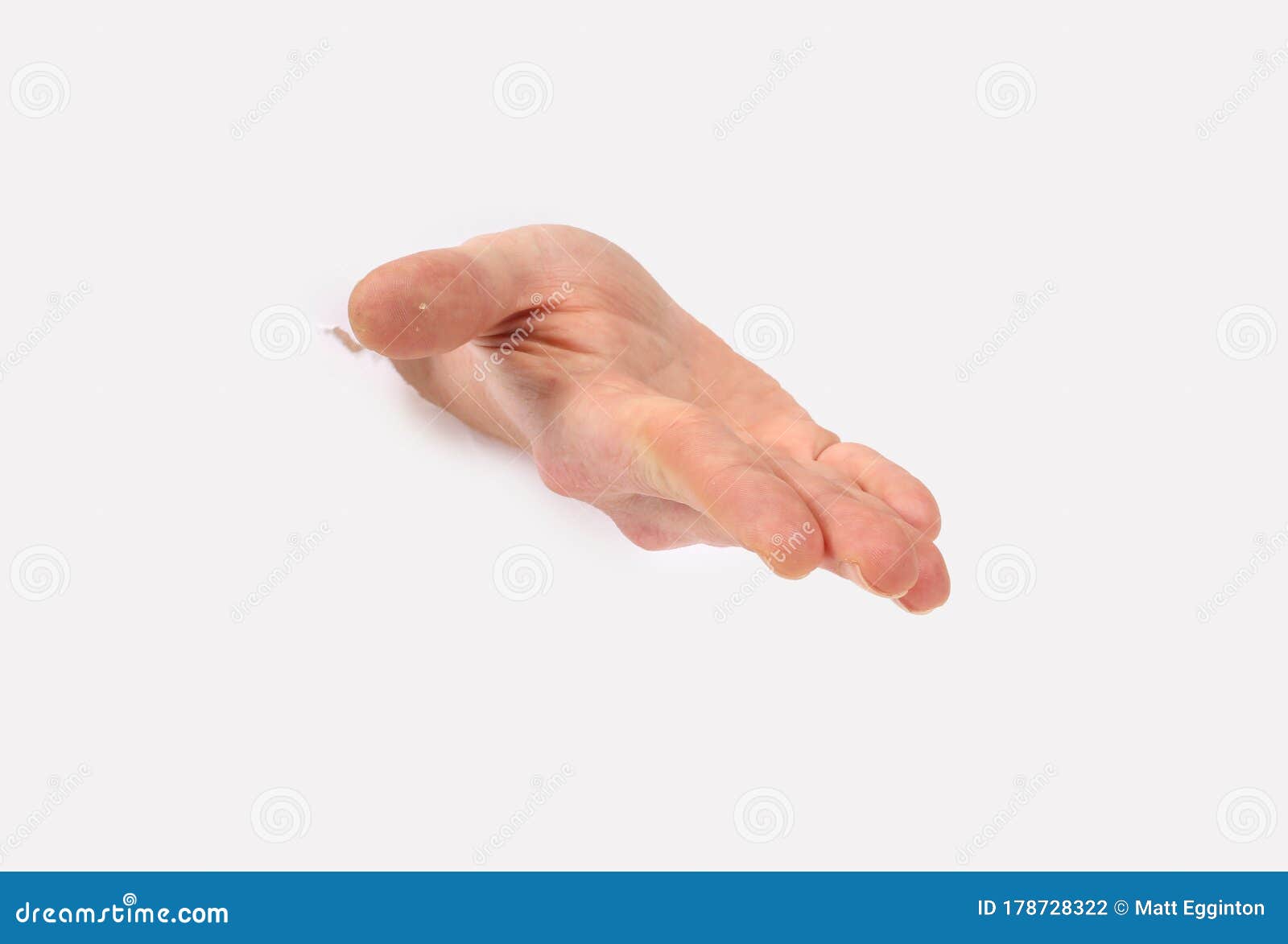 Hand Offering or Holding. Isolated on White Stock Photo - Image of ...