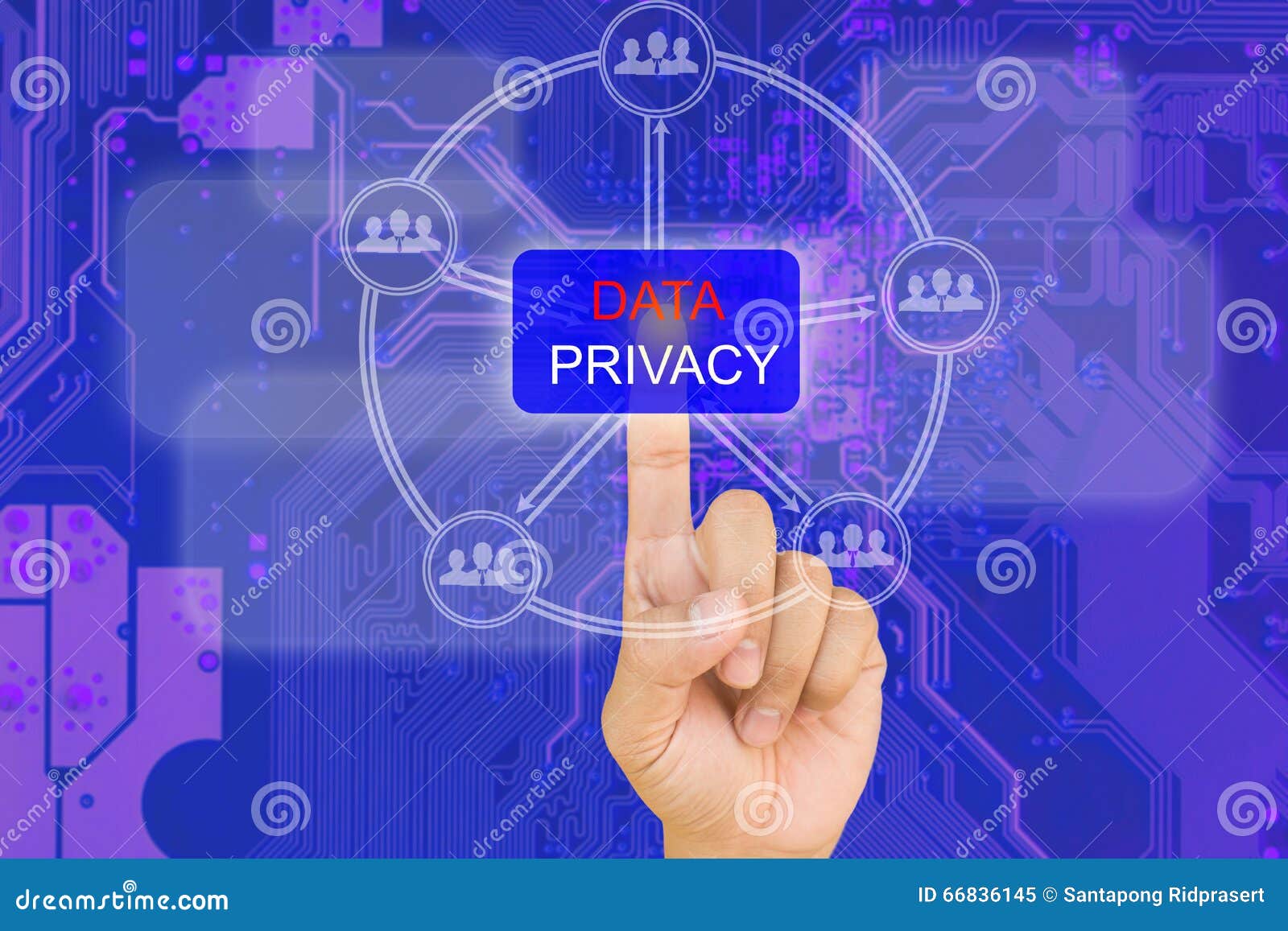 Hand Pressing Data Privacy Button on Interface with Blue PCB Bo Stock ...