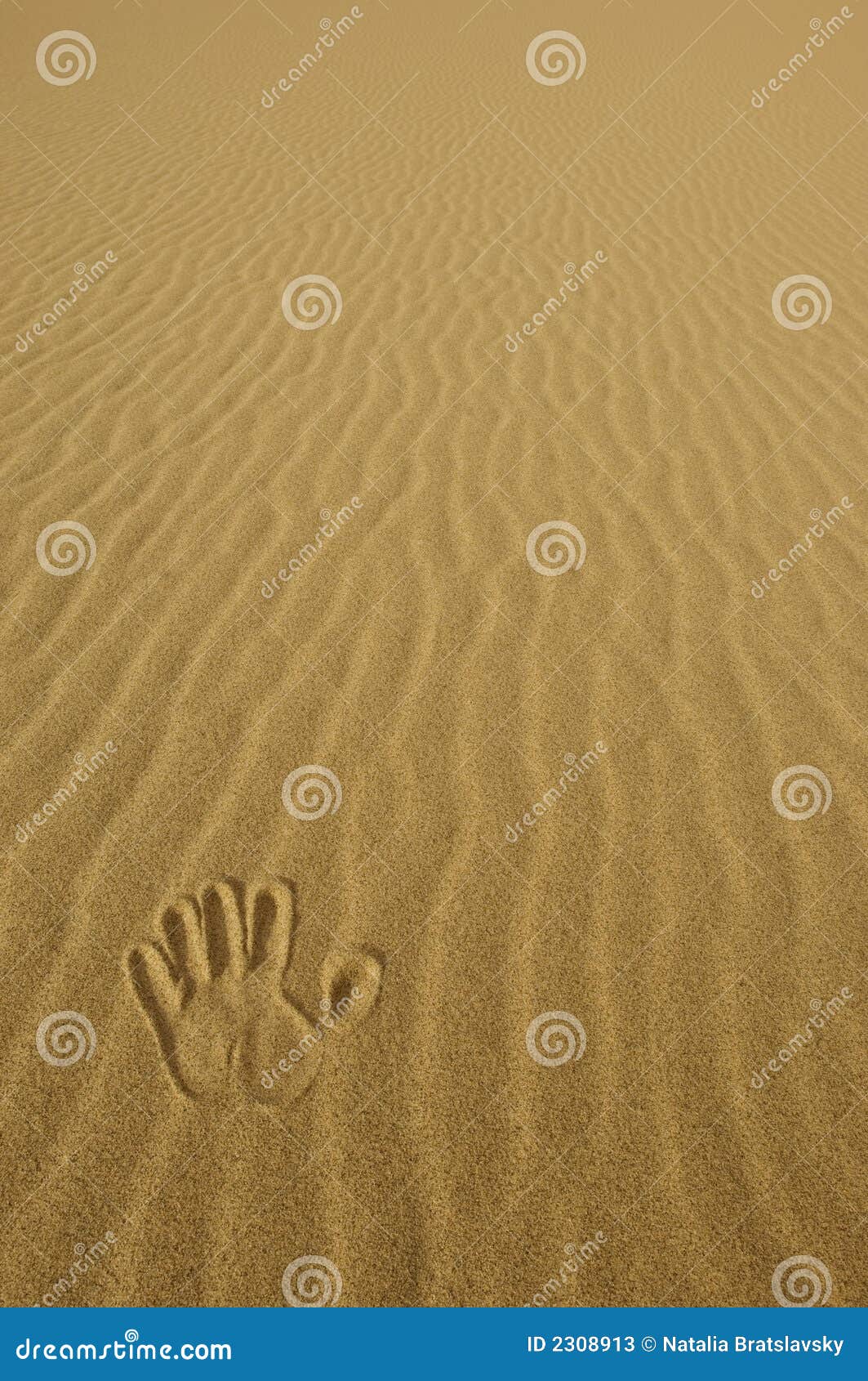 Hand print stock image. Image of sneakers, nature, imprint - 2308913