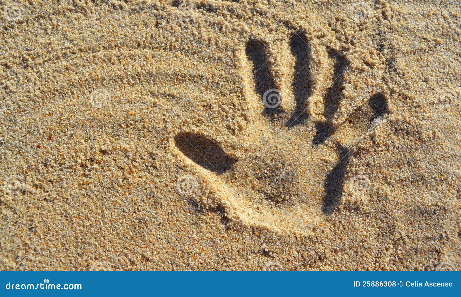 Hand Print on Beach Sand stock photo. Image of concept - 25886308