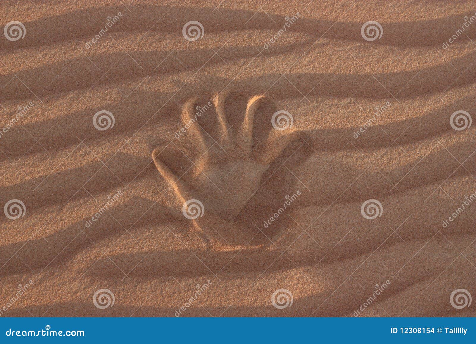 Hand print in sand stock photo. Image of print, sunset - 12308154