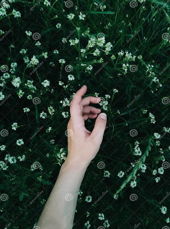 Hand stock image. Image of preset, hand, vsco, processed - 88953439