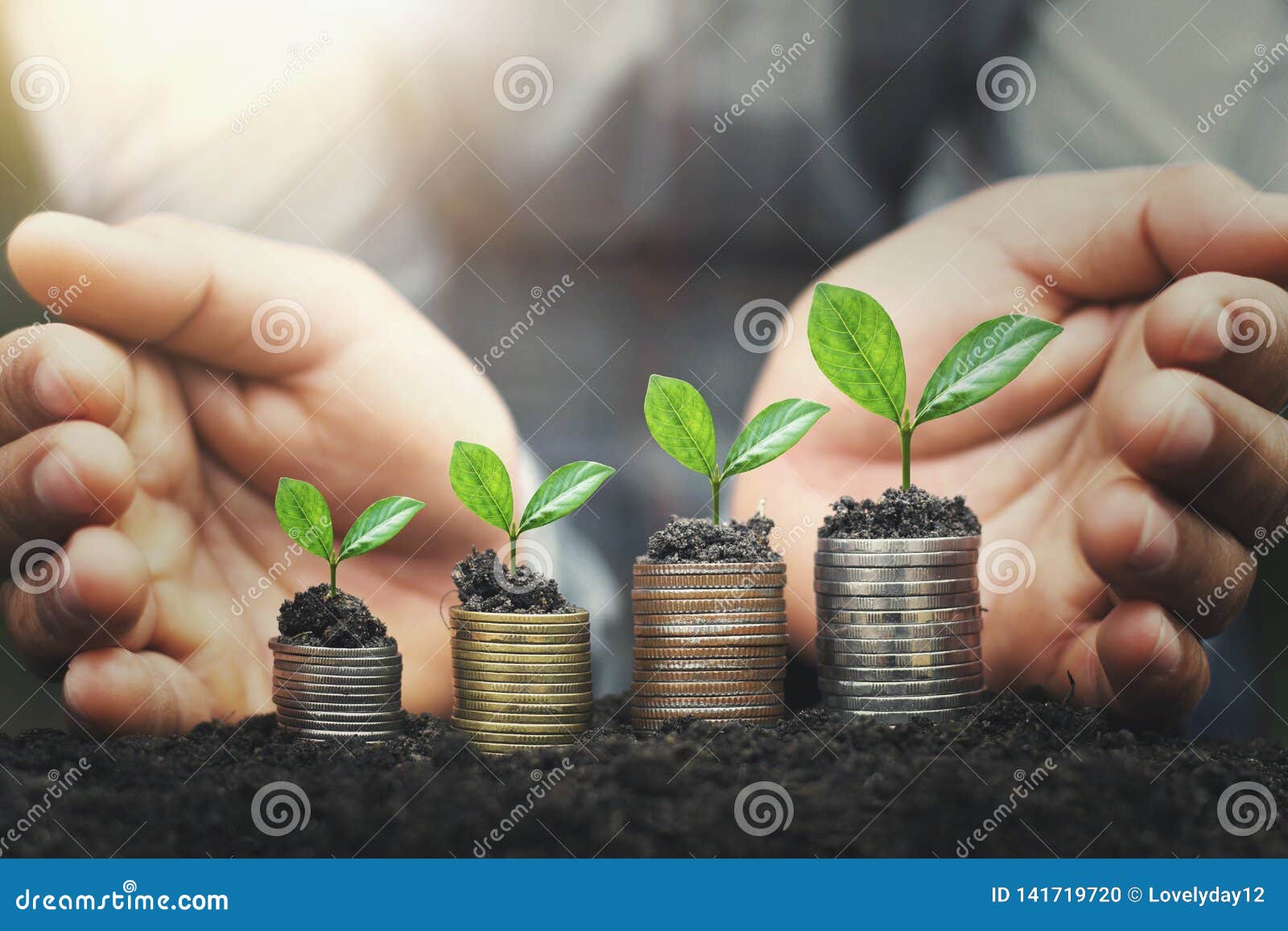 Hand Protect Money Stack with Plant Growing on Coins Stock Photo ...
