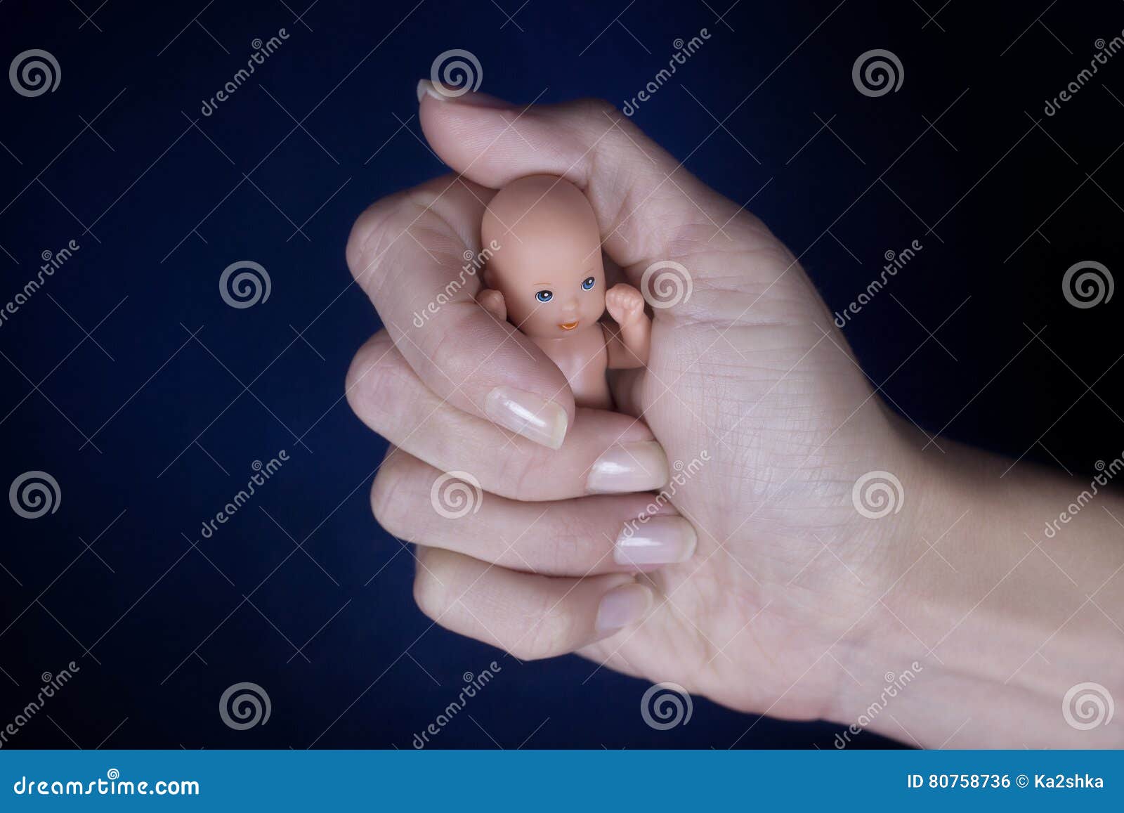 Hand protecting of embryo stock photo. Image of diagnostic - 80758736