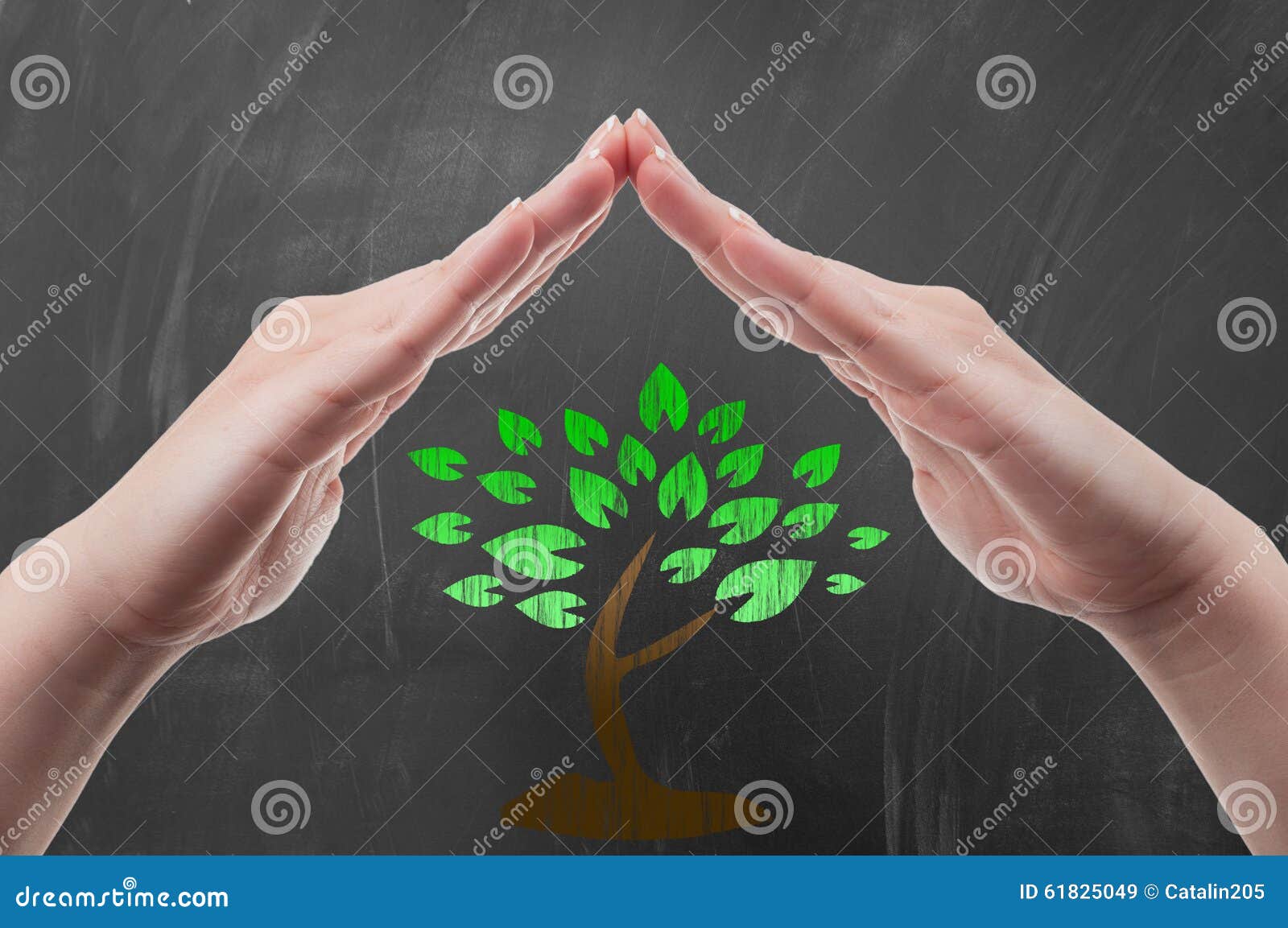 Hand Protecting Tree Draw on Blackboard or School Chalkboard Stock ...