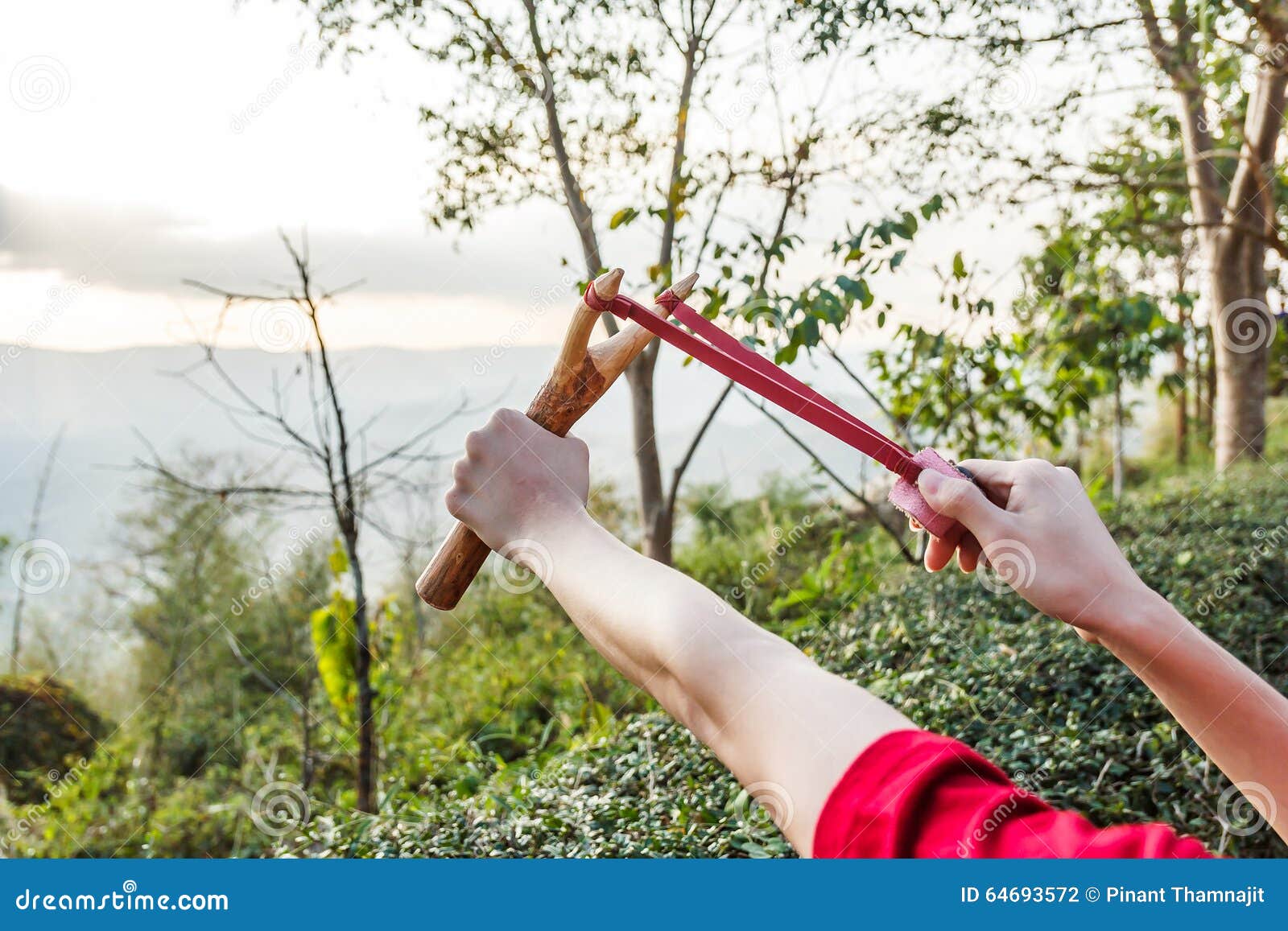 Hand Pulling Slingshot To Shoot Tree Seed into Forest. Stock Photo ...