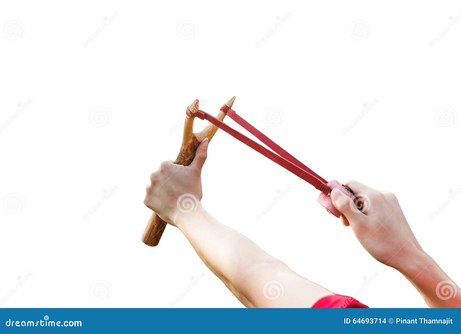 Hand Pulling Slingshot To Shoot Tree Seed To Forest. Stock Photo ...