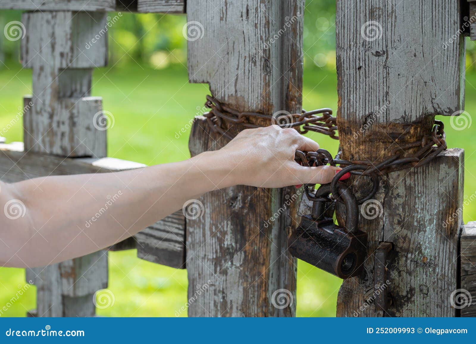 Hand Pulls the Lock on Which the Gate is Closed Stock Image - Image of ...