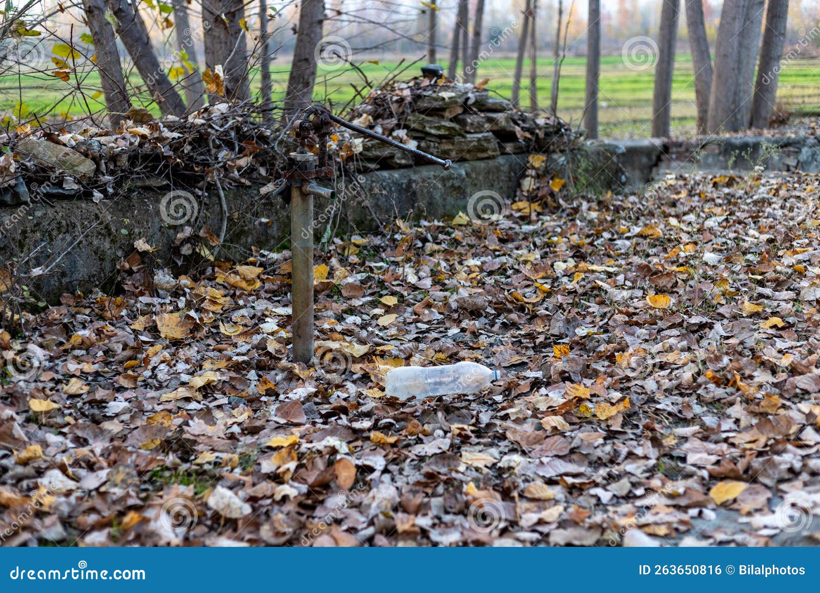 A Hand Pump on a Well in a Forest with No Water. Water Scarcity Concept ...