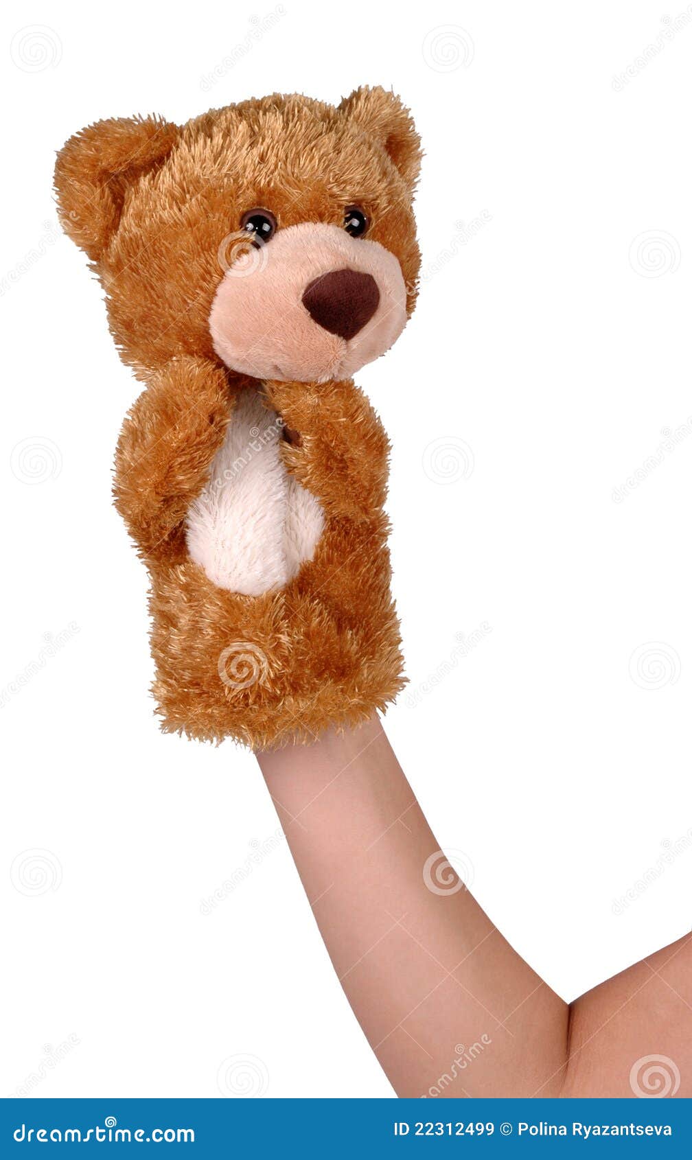 Hand puppet of bear stock image. Image of brown, emotion - 22312499
