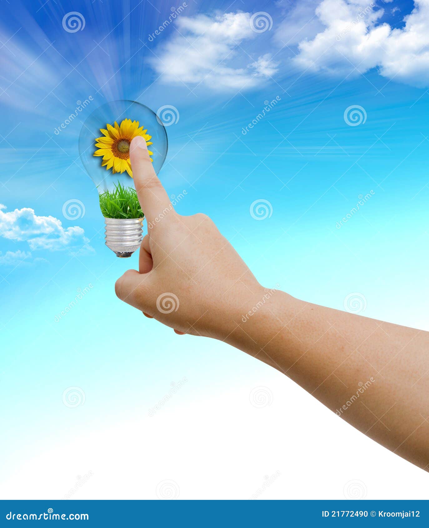 Hand pushing on Light bulb stock photo. Image of click - 21772490