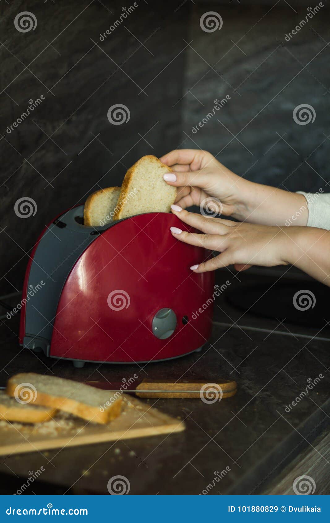 Woman Makes Toasts for Breakfast Stock Image - Image of insert, counter ...