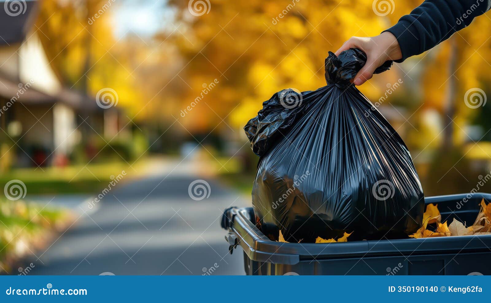 Hand Putting Black Trash Bag in Open Garbage Bin Outdoors Stock ...