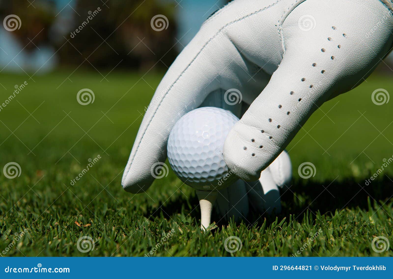 Hand Putting Golf Ball on Tee in Golf Course. Golf Ball in Grass. Golf ...
