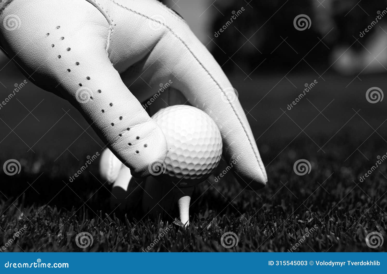 Hand Putting Golf Ball on Tee in Golf Course. Golf Ball in Grass. Golf ...