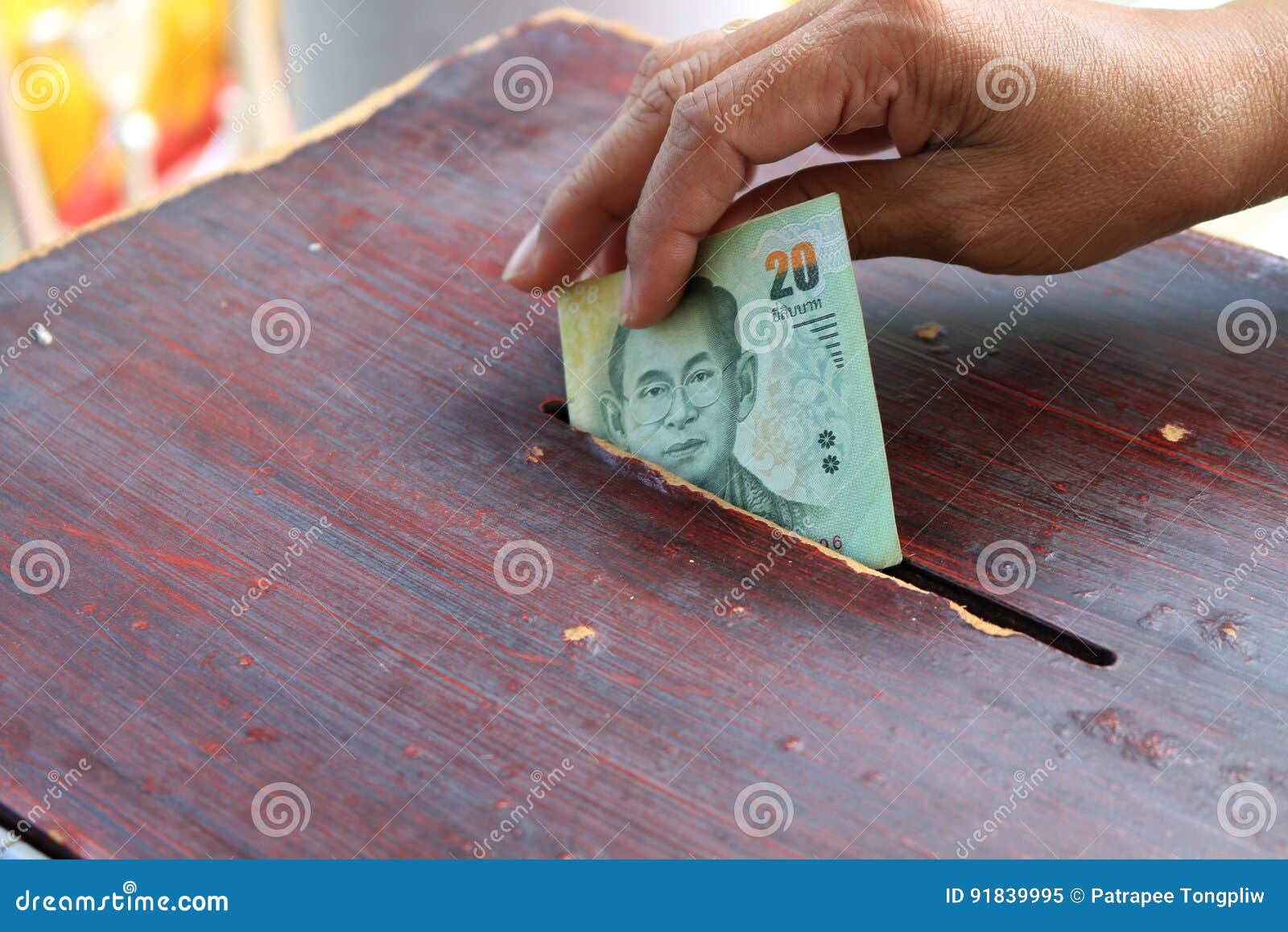 Hand Putting Money To Donate Stock Image - Image of money, finance ...