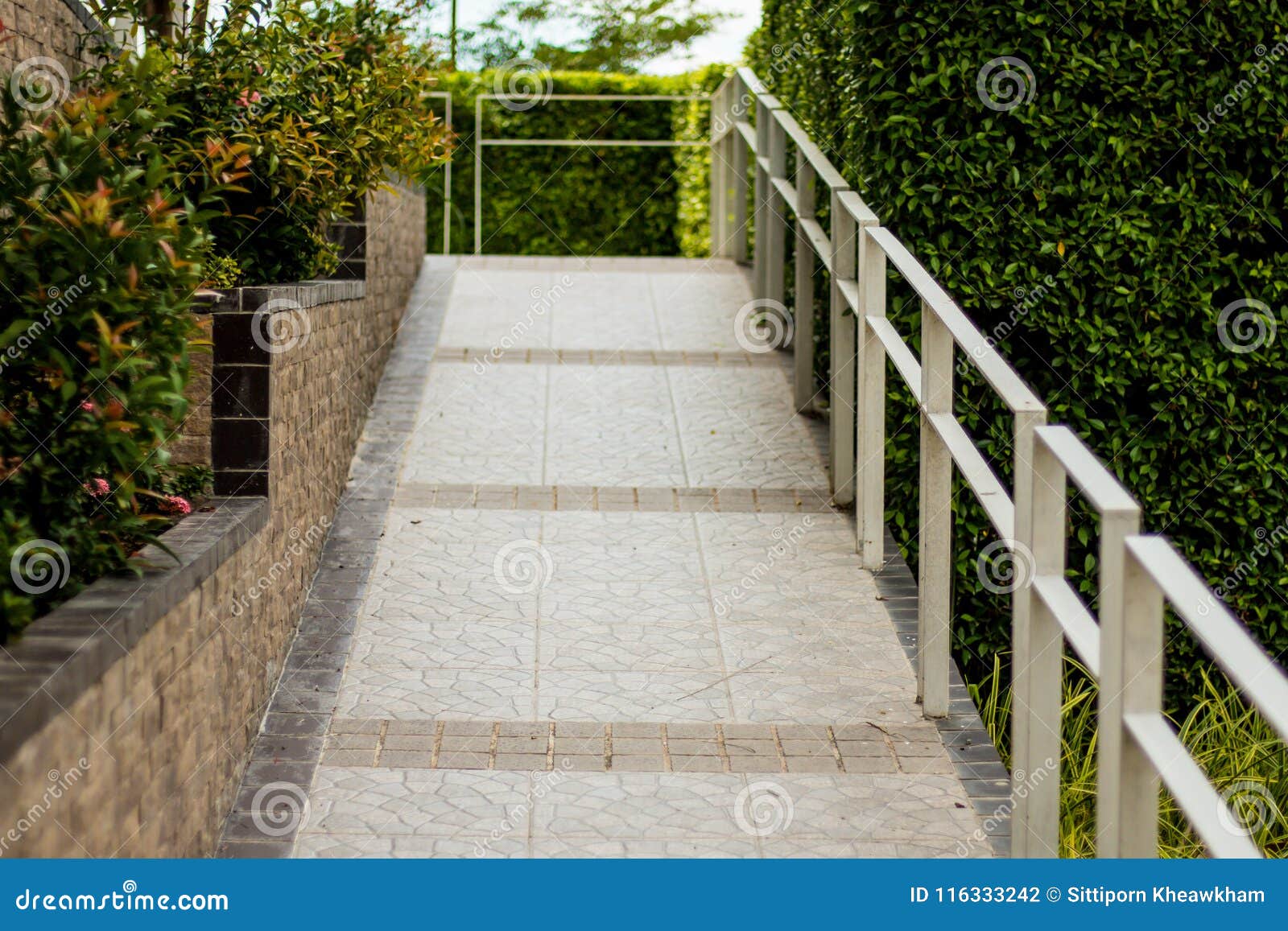 Hand on railing stock photo. Image of fence, architecture - 116333242