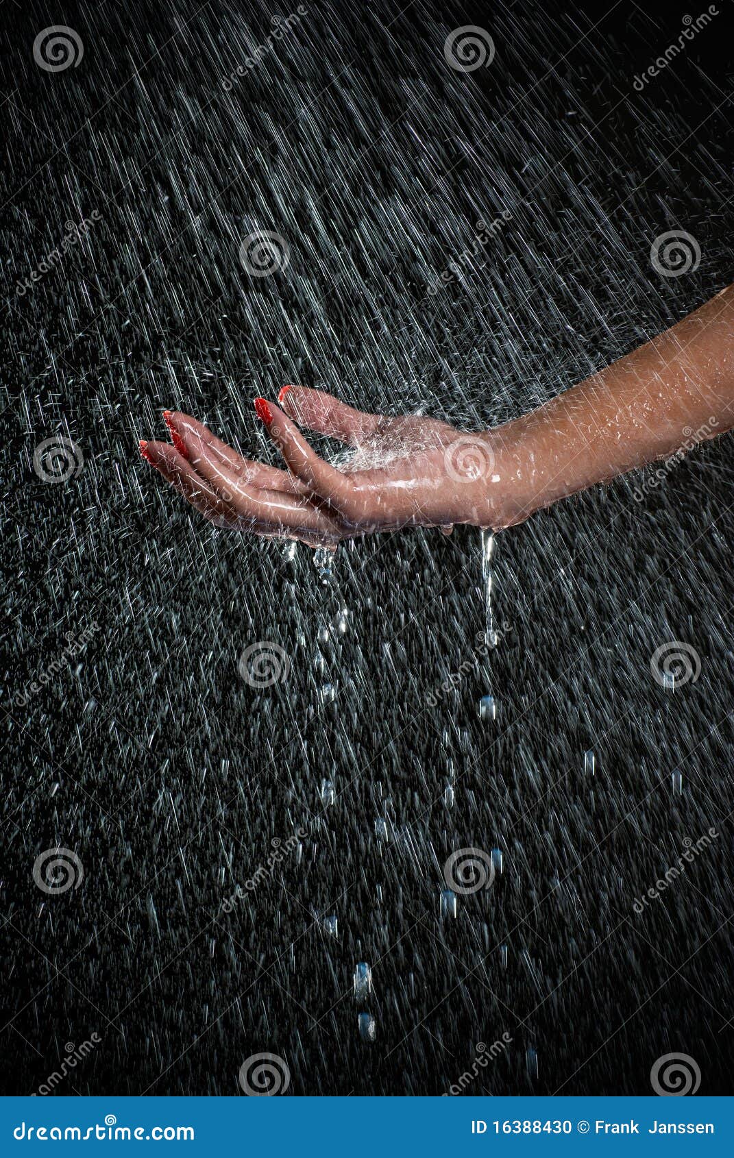 Hand in rain stock photo. Image of weather, polish, shower - 16388430
