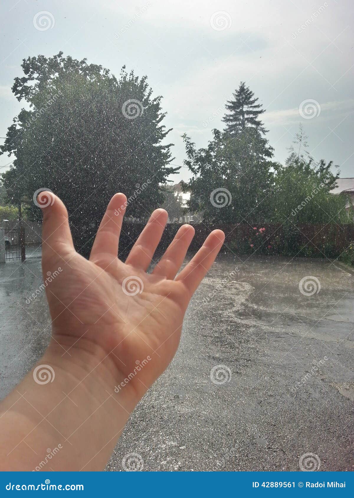 Hand in the rain stock image. Image of weather, natural - 42889561