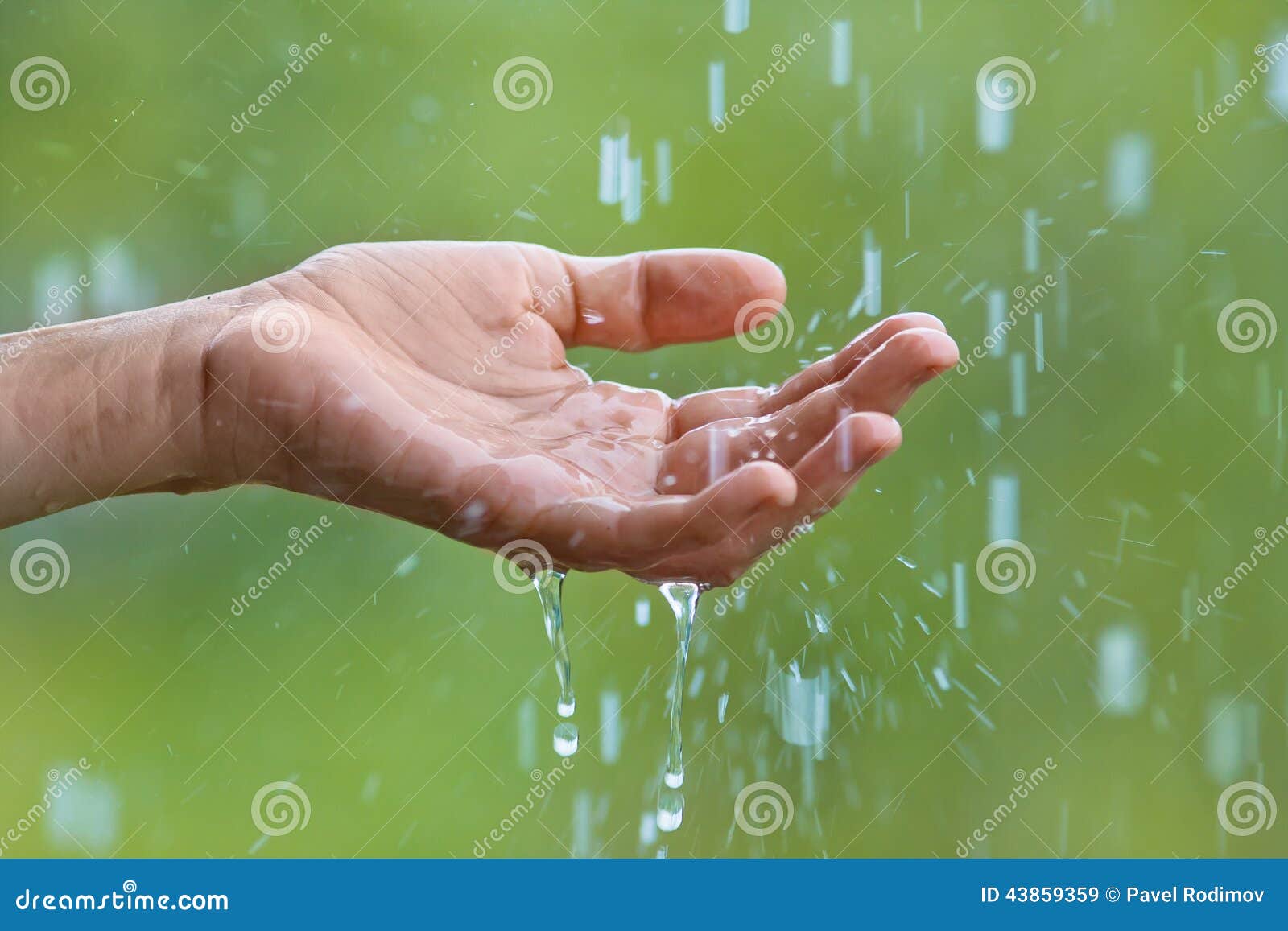 Hand and rain water stock image. Image of hands, green - 43859359