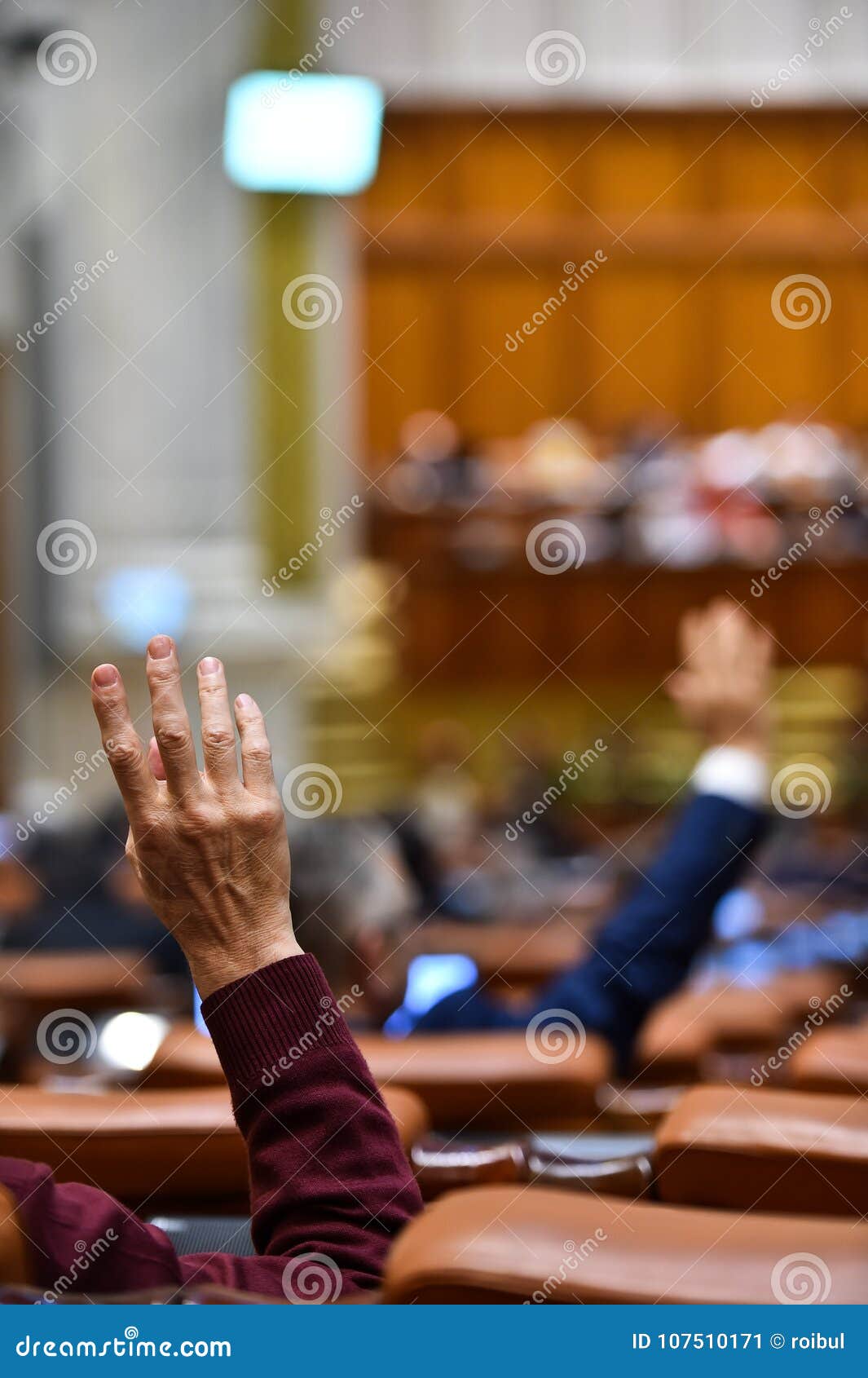Hand Raised in the Air during a Voting Procedure Stock Image - Image of ...