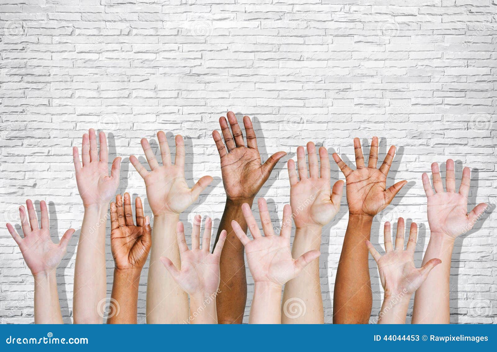 Hand Raised Isolated on White Stock Image - Image of descent ...