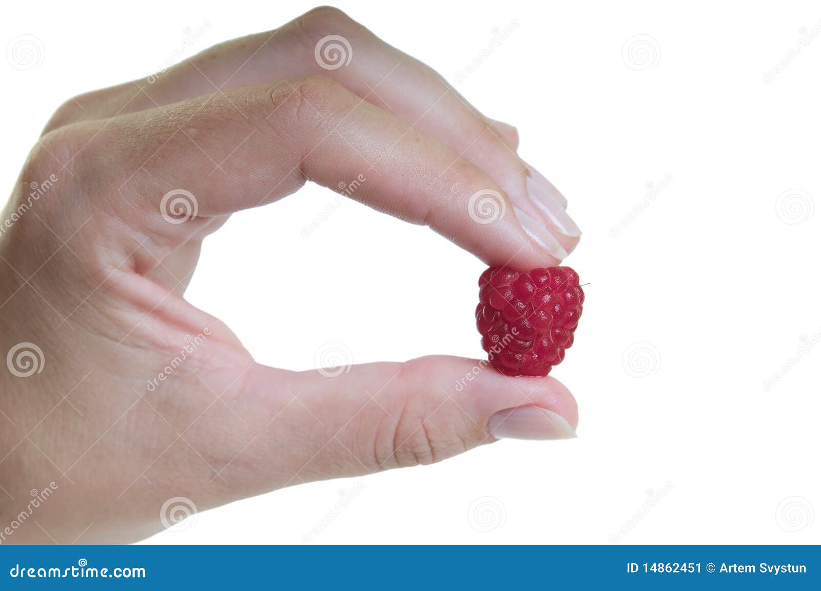Hand with raspberry stock image. Image of finger, hand - 14862451