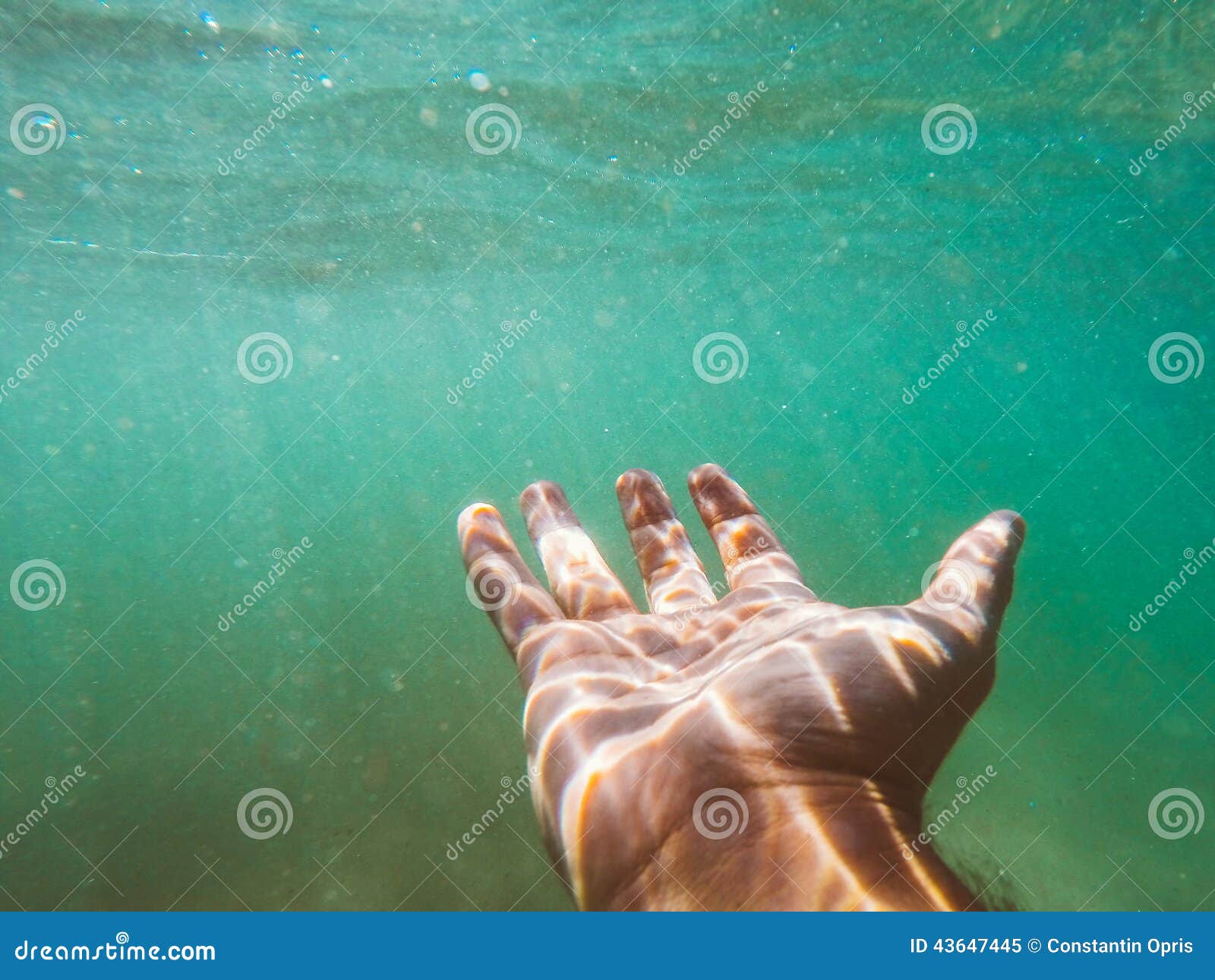 Hand reached for help stock image. Image of getaway, sunlight - 43647445