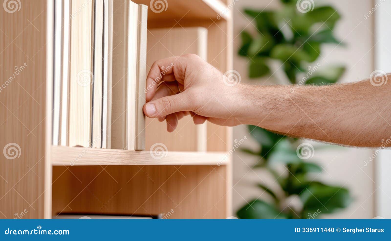 A Hand Reaching for a Book on the Shelf in Front of it, AI Stock Photo ...
