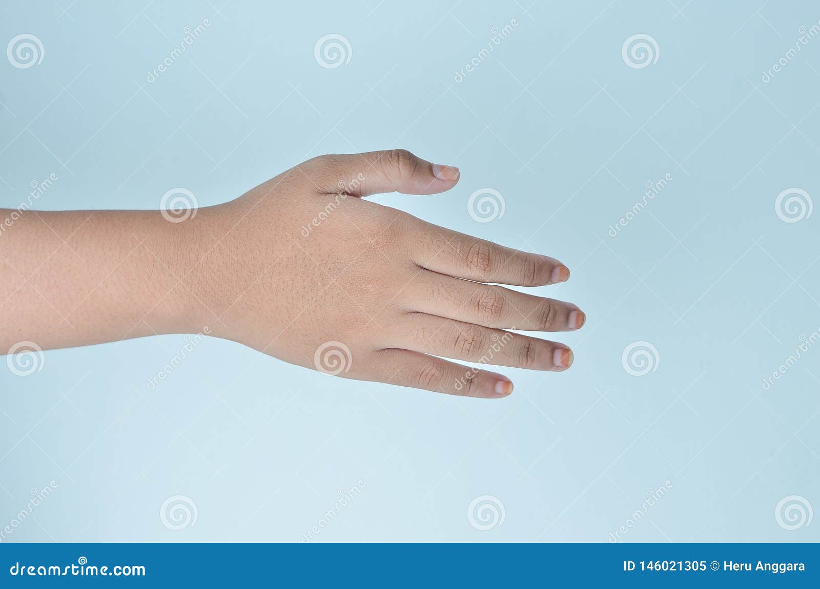 Shake hands stock image. Image of deal, adult, gesturing - 146021305