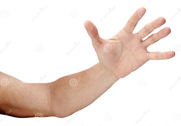 Hand Reaching Out Isolated stock photo. Image of grab - 18372580