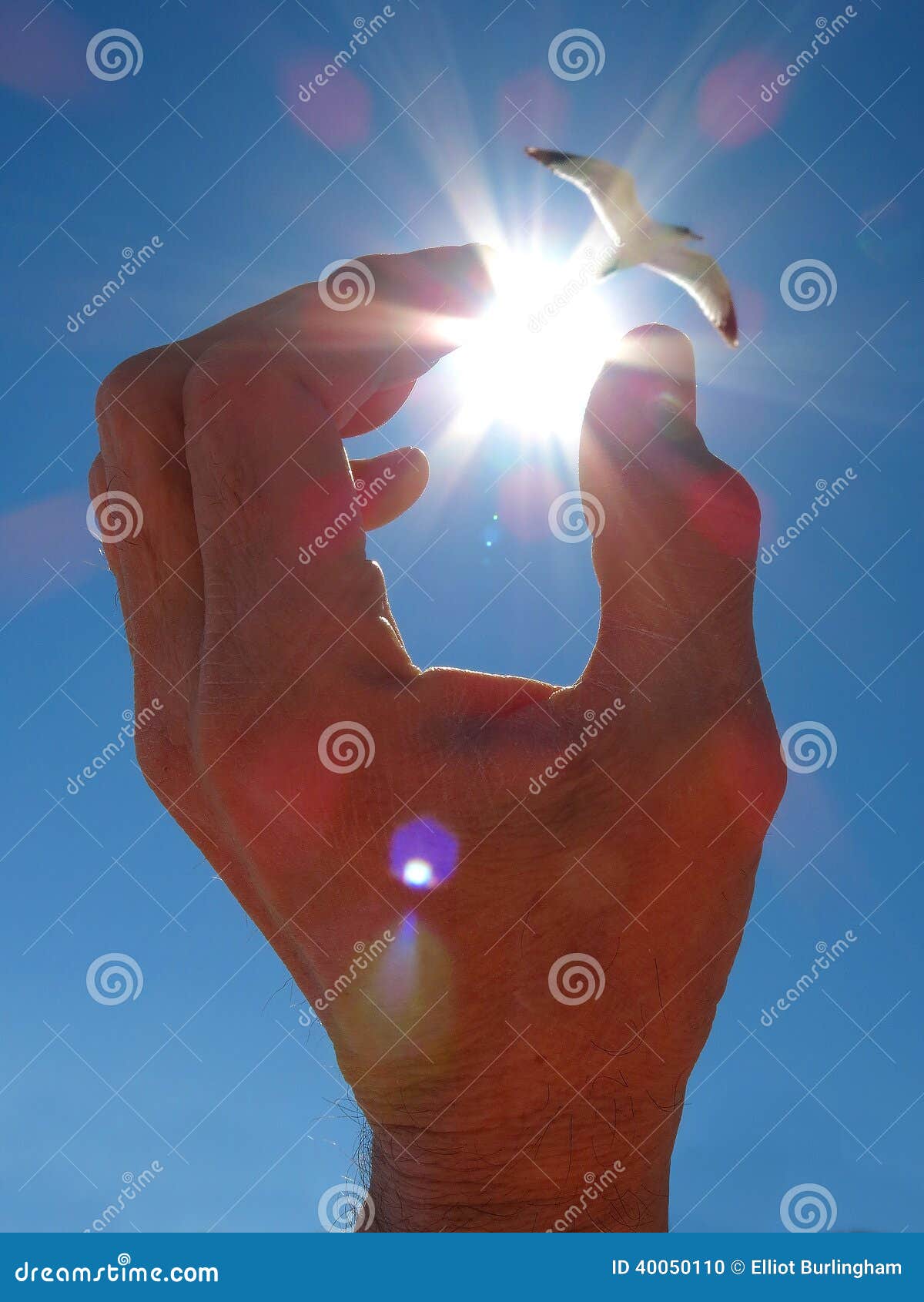 Hand Reaching for Sun stock photo. Image of light, hope - 40050110