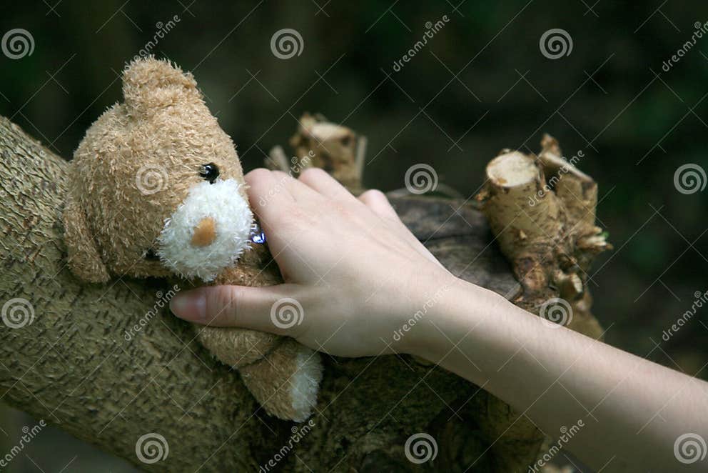 Hand Reaching for a Teddy Bear Stock Image - Image of bear, reach: 1635357
