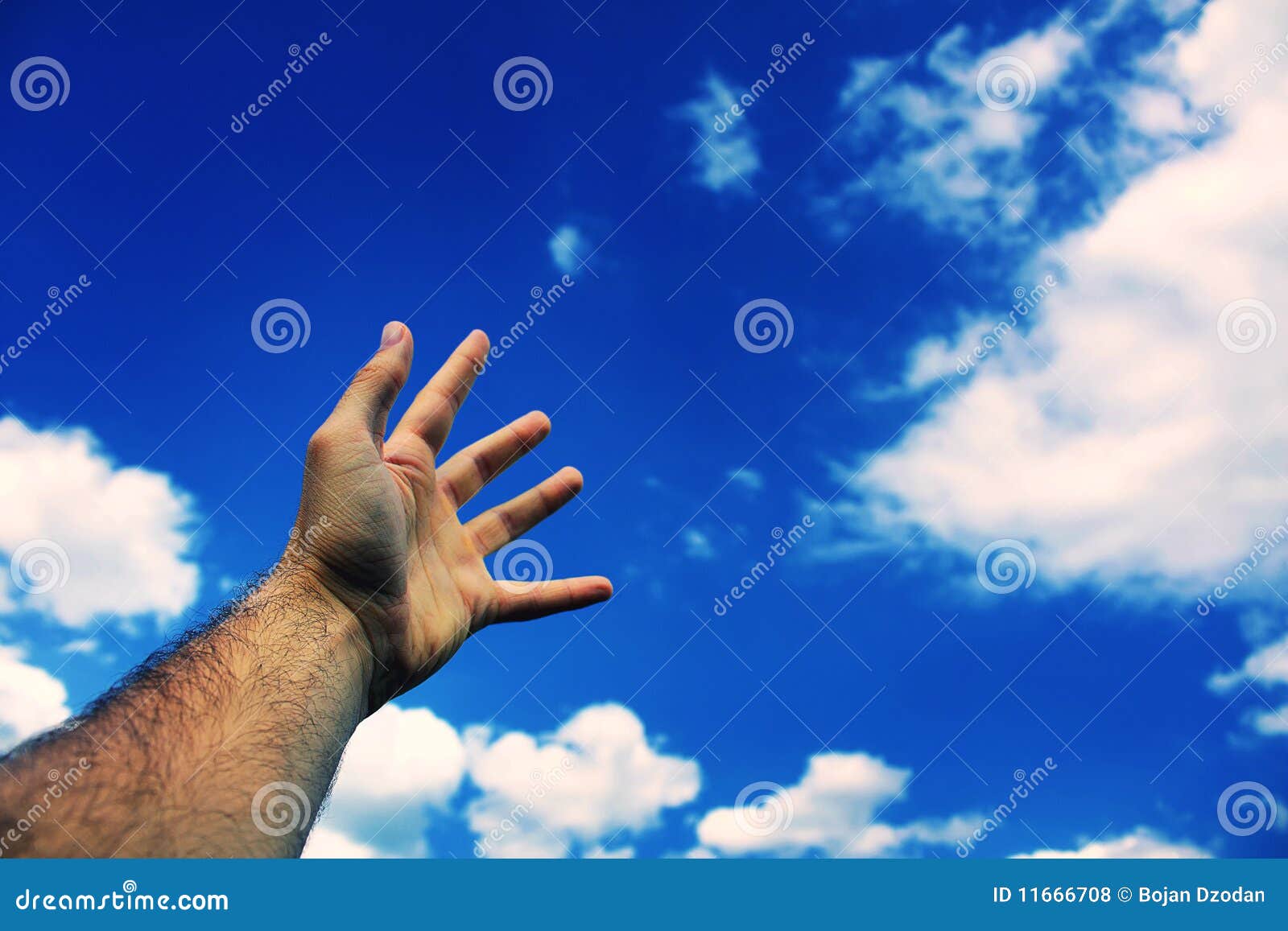Hand reaching to sky stock photo. Image of summer, spread - 11666708