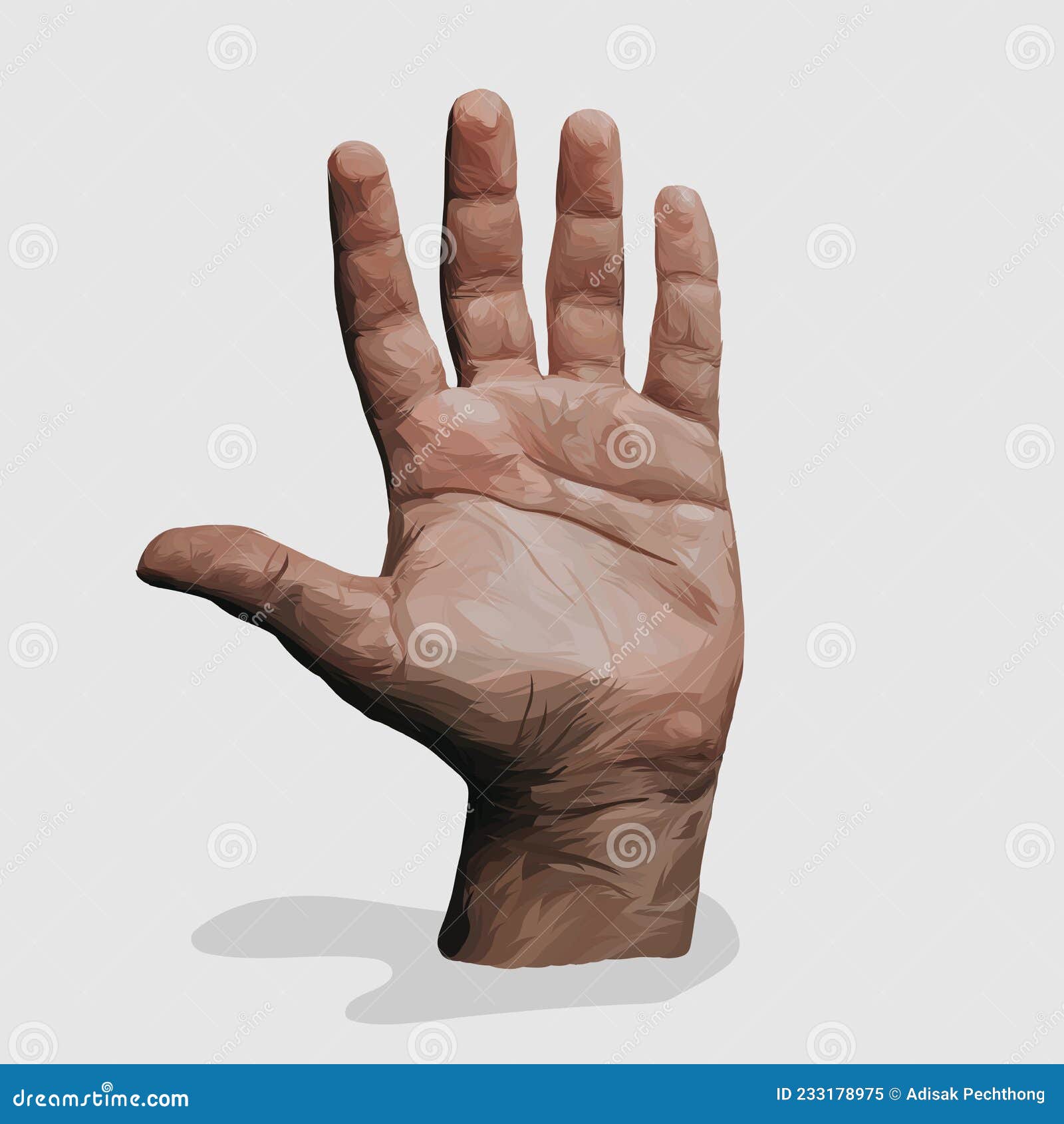 Hand Realistic Hand Drawn Illustrations and Vectors White Background ...