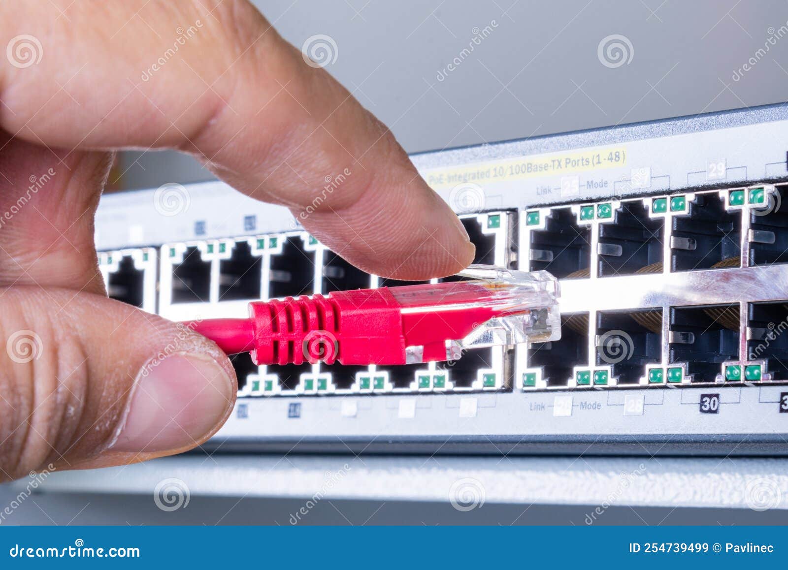 Hand with Red Ethernet Cable Stock Image - Image of router, networking ...
