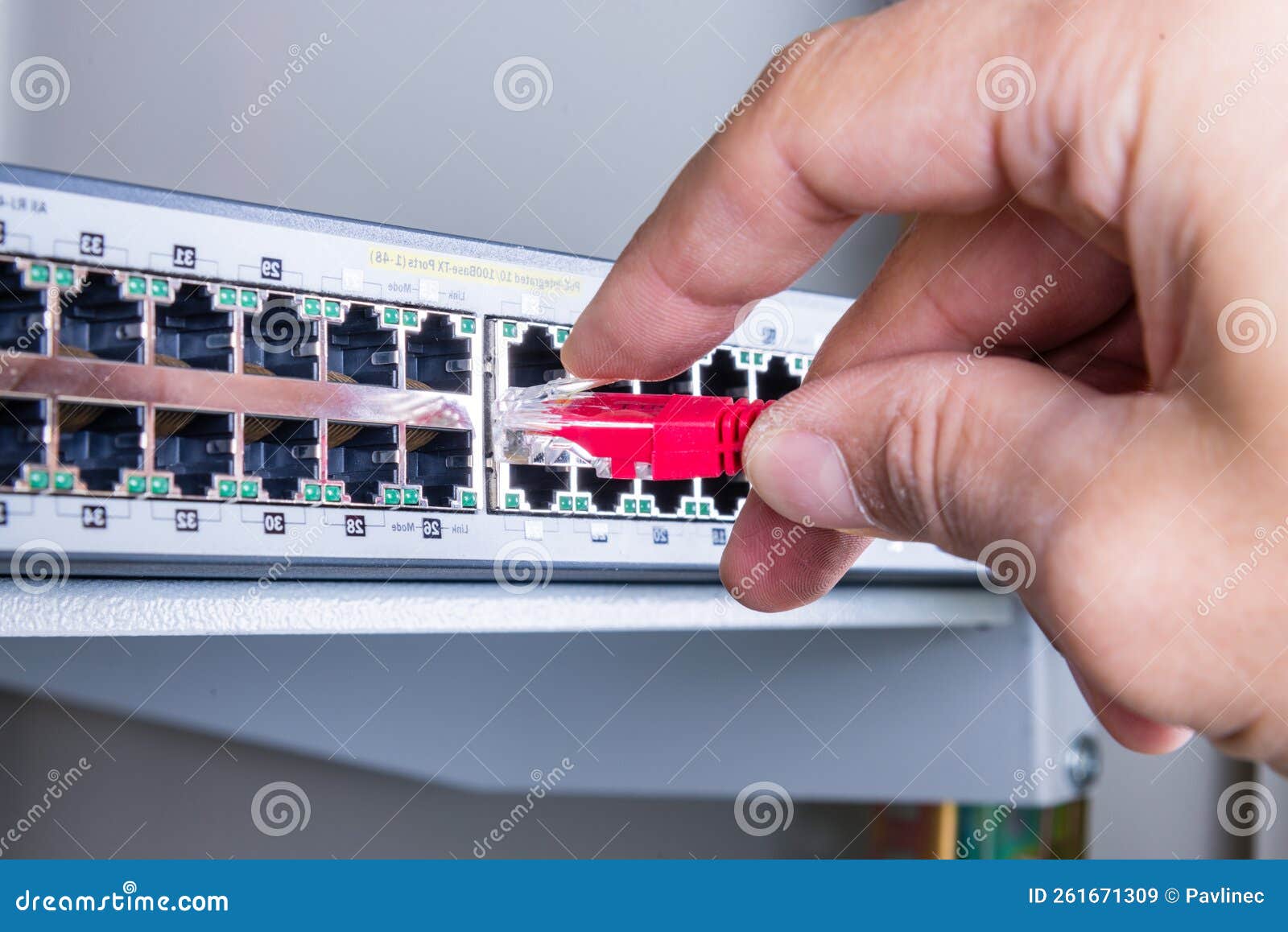 Hand with Red Ethernet Cable Stock Image - Image of server, broadband ...